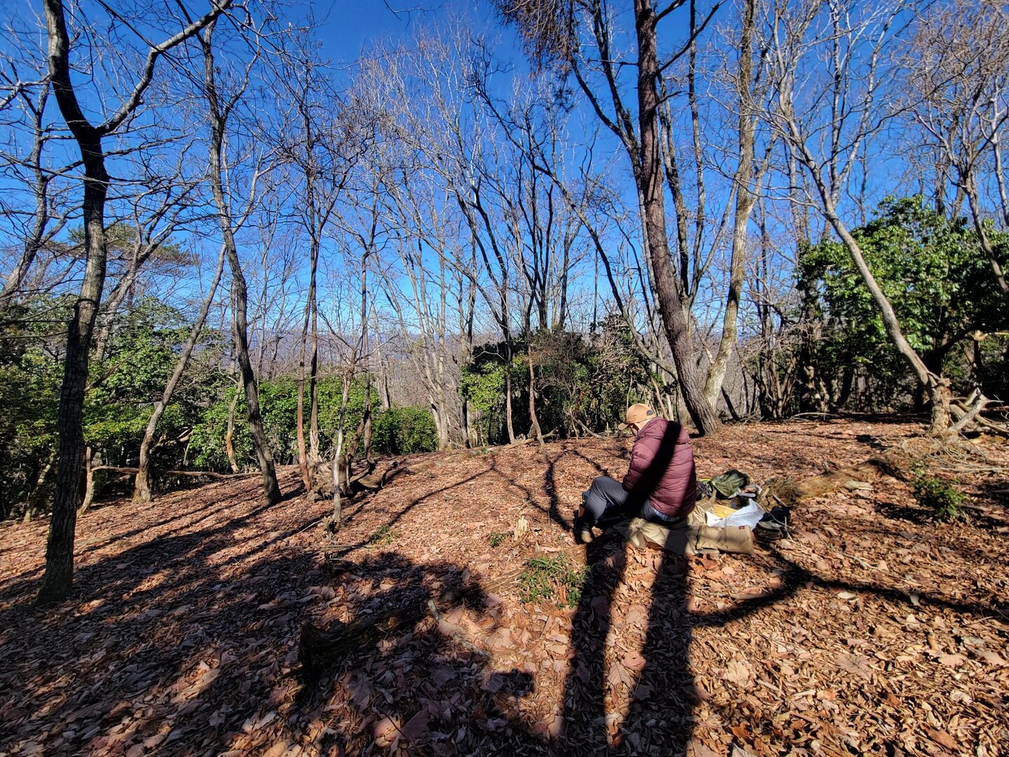 堂床山 里キン2 / NOMさんの千代田堂床山の活動データ | YAMAP / ヤマップ