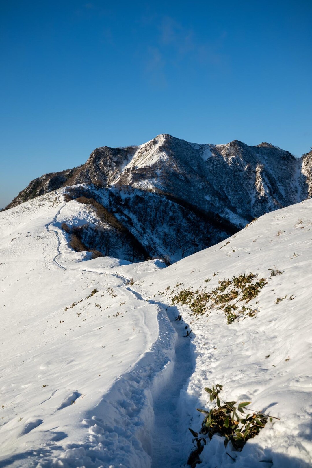 伊予ノ白富士 / 四玄-SIGEN fpさんの笹ヶ峰・寒風山・平家平の活動データ | YAMAP / ヤマップ