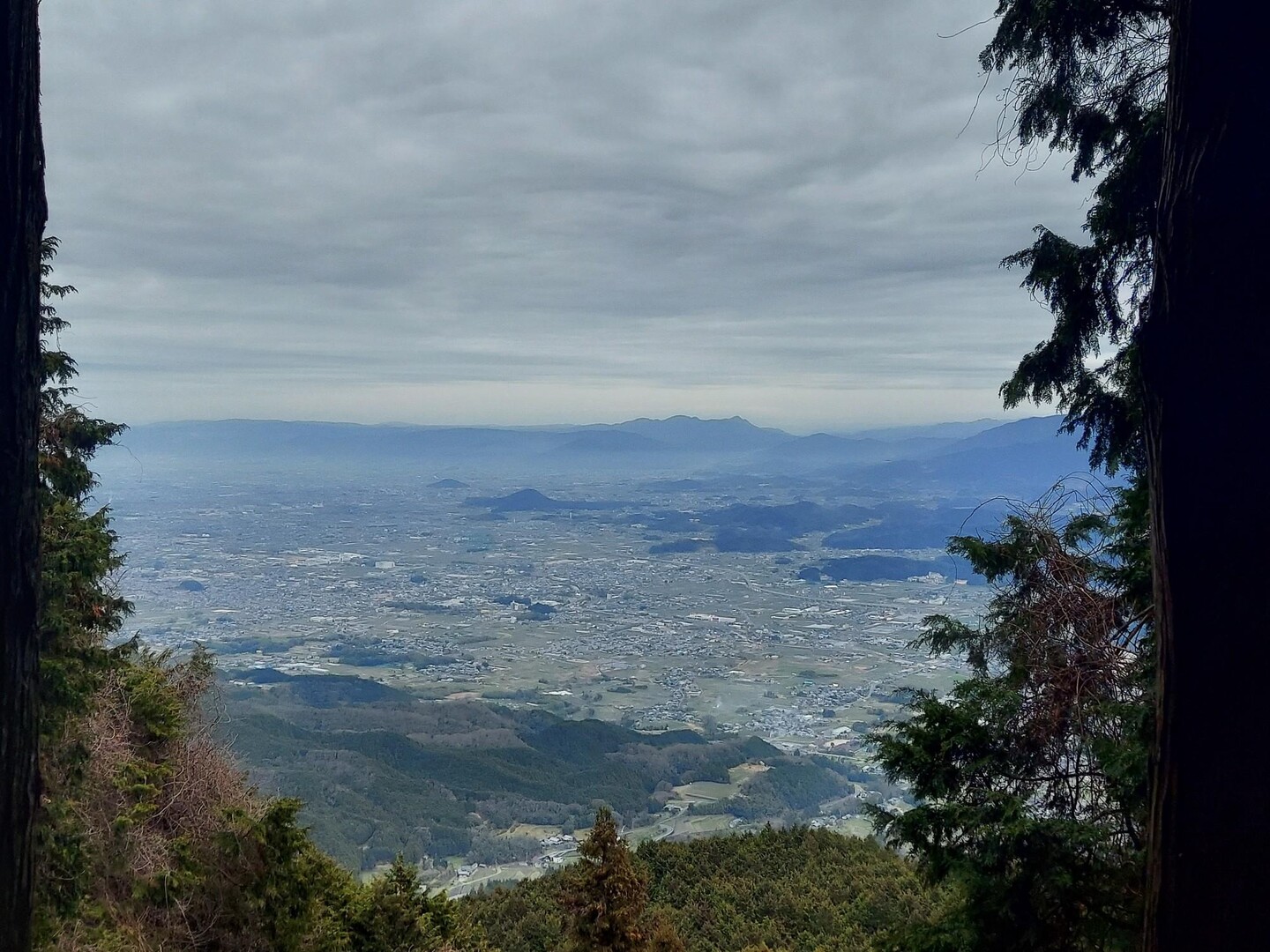 金剛山×2🗻🗻 / ree-koさんの金剛山・二上山・大和葛城山の活動データ | YAMAP / ヤマップ