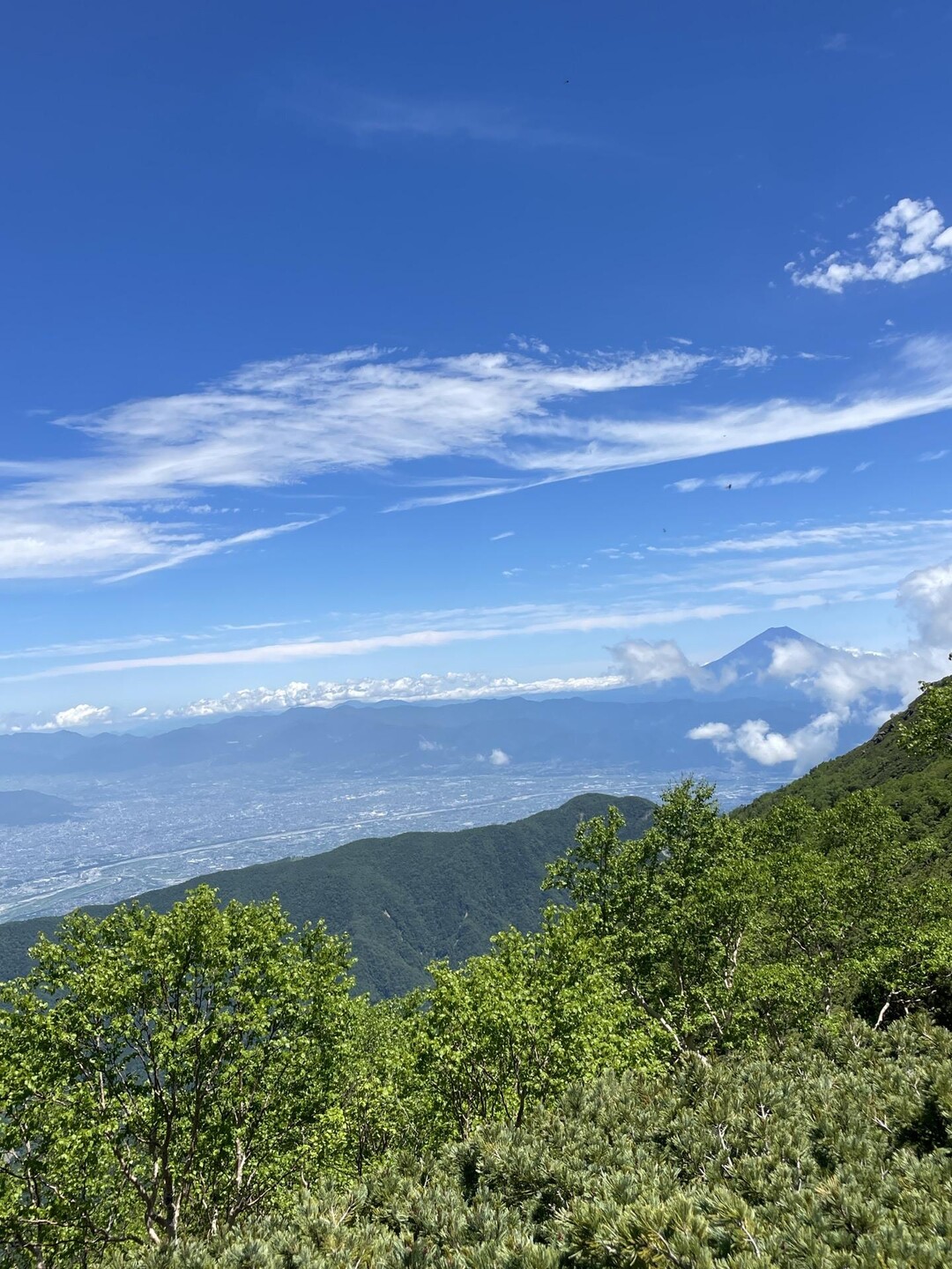 鳳凰山 / tomさんの鳳凰山・地蔵岳・観音岳・薬師岳の活動データ | YAMAP / ヤマップ
