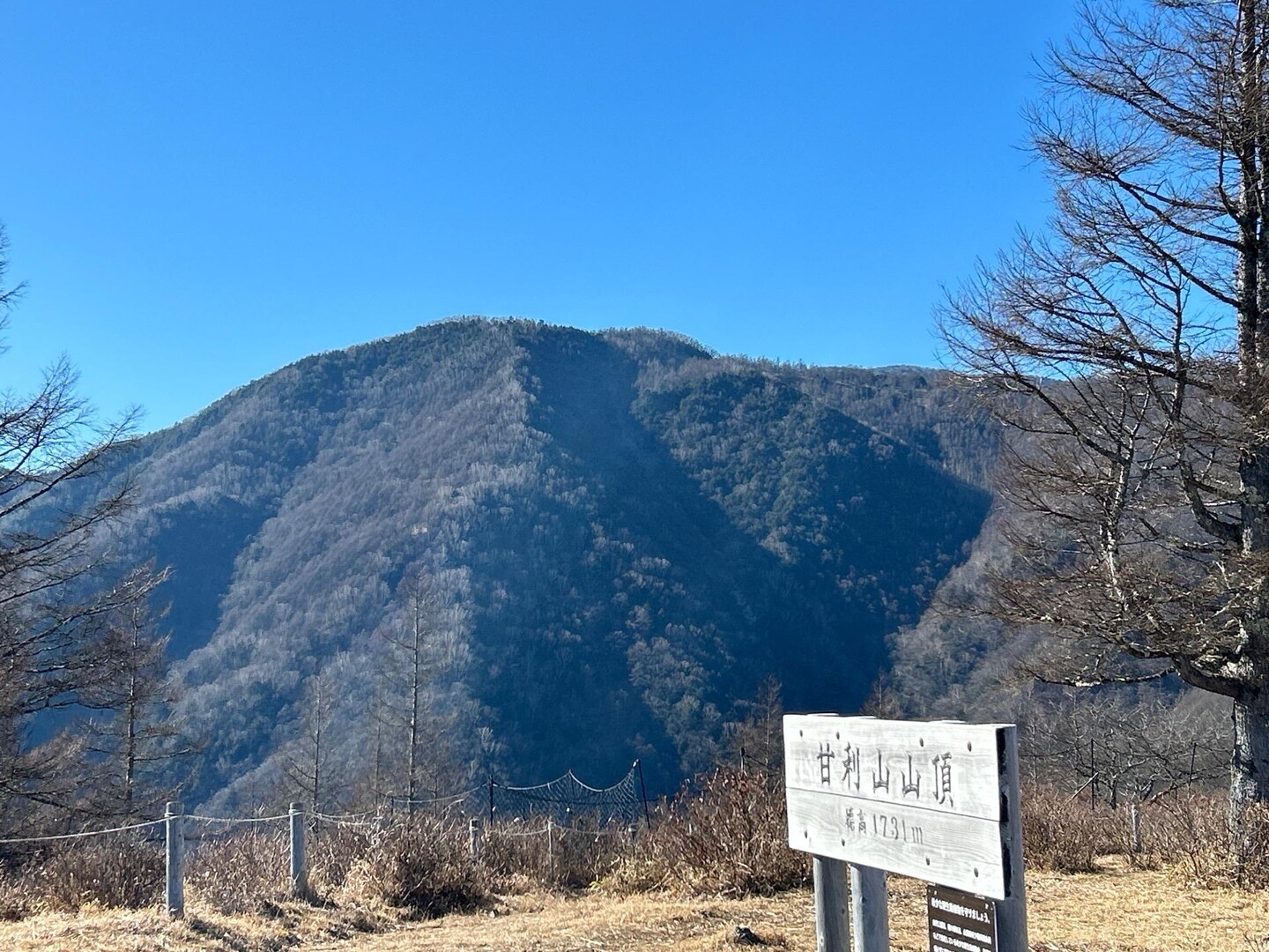 甘利山・奥甘利山・大西峰・千頭星山 / bass_manさんの鳳凰山・地蔵岳・観音岳・薬師岳の活動データ | YAMAP / ヤマップ