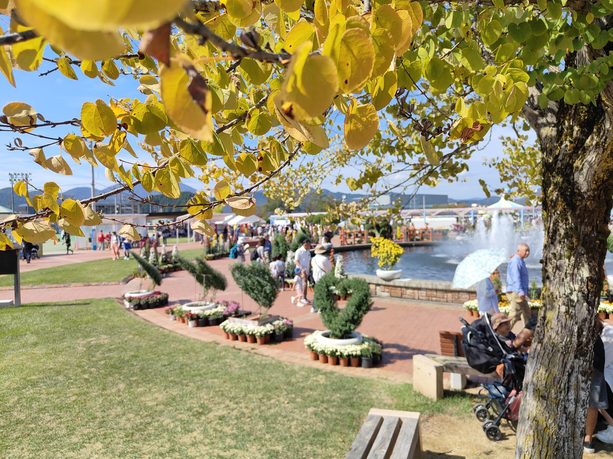 文殊山 241014.18.19.20 / UmK うめさんの福井市の活動データ | YAMAP / ヤマップ