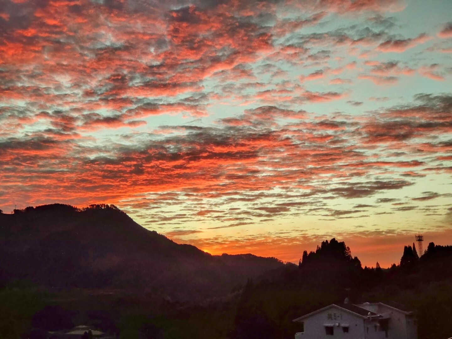 今年も沢山のDOMOや心温まるコメントを... / KENJIさんのモーメント | YAMAP / ヤマップ