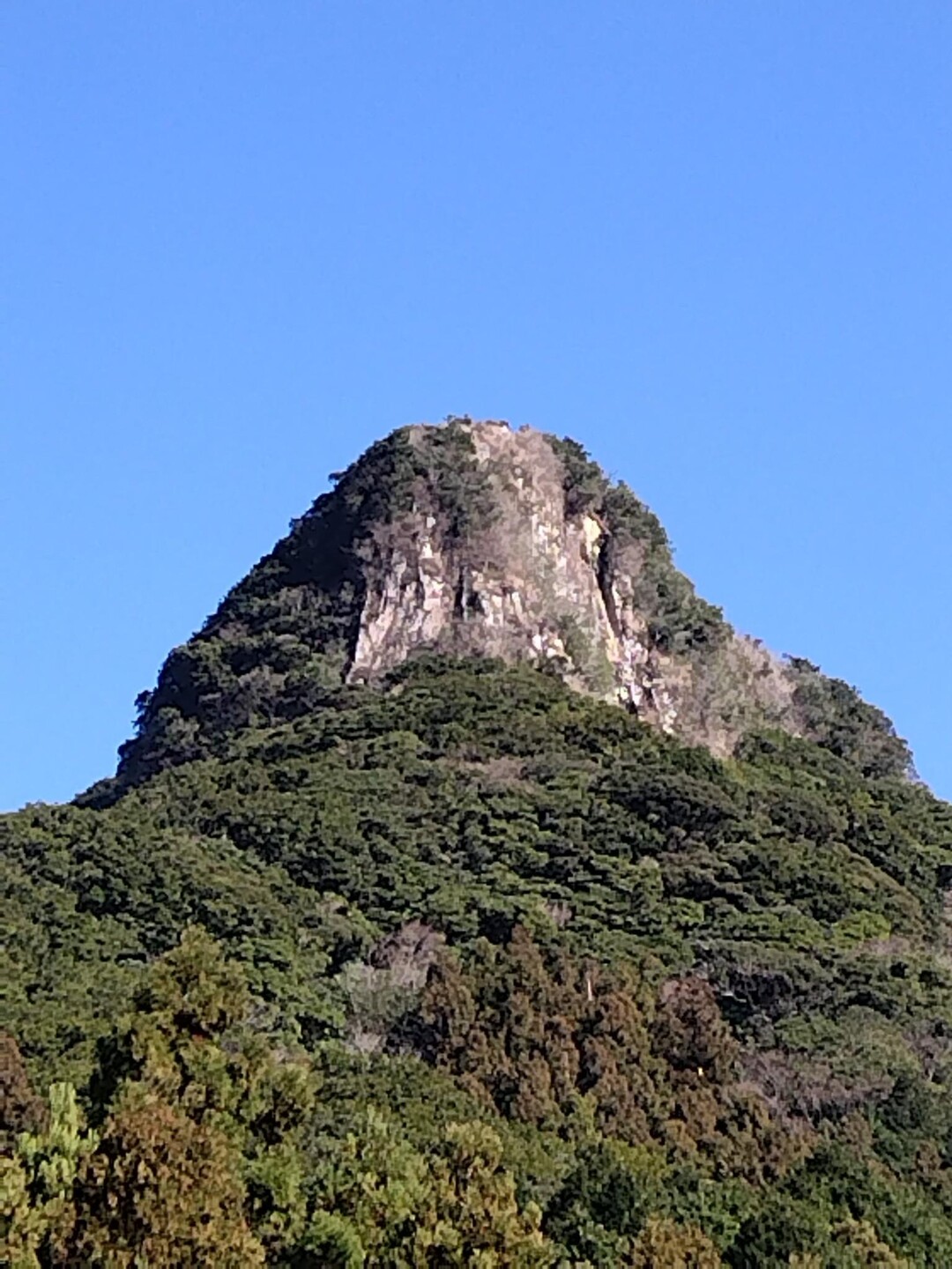 山BOY・山初の虚空蔵山へGO ! 🚶‍♀ / りんごさんの虚空蔵山の活動日記 | YAMAP / ヤマップ