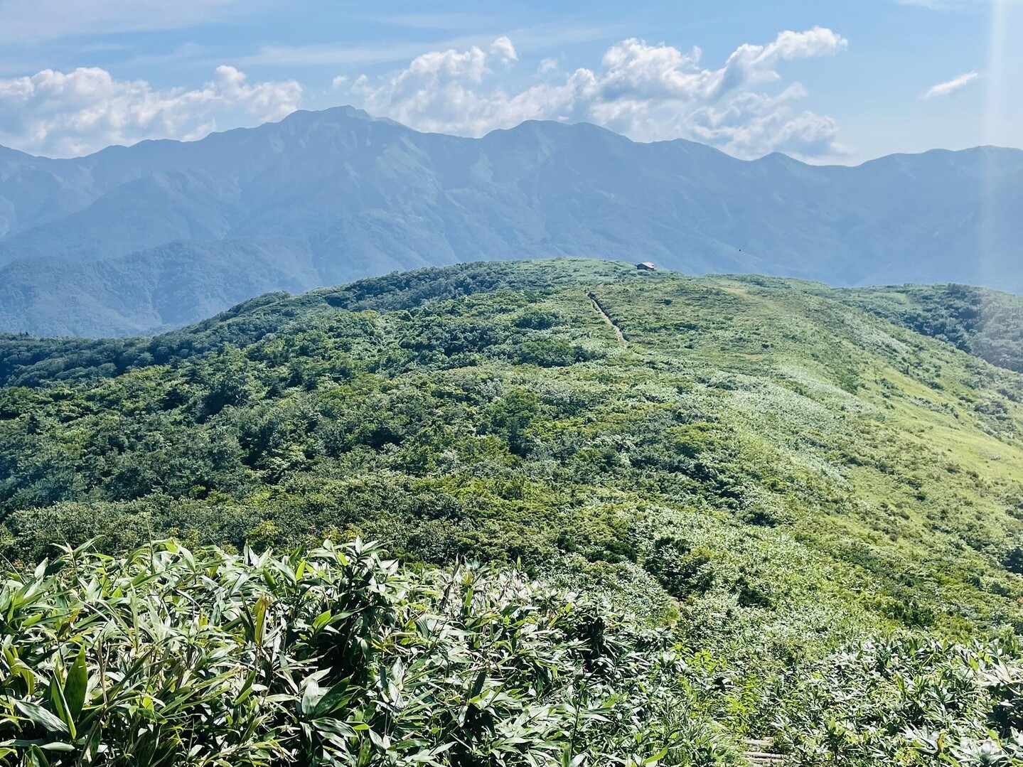 赤兎山と大長山を欲張って脚攣りつりlll(-ω-；)lll / しろべさんの赤兎山・猪鼻山の活動データ | YAMAP / ヤマップ