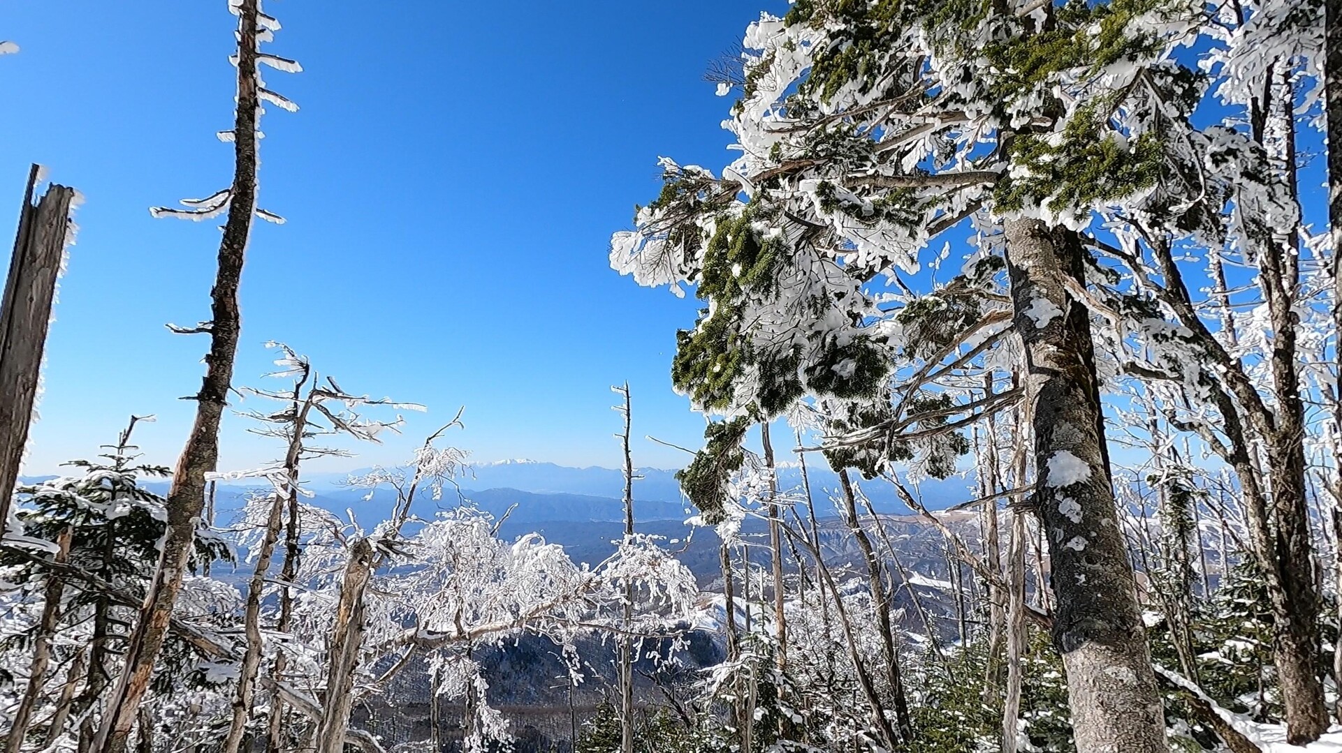 蓼科山・八子ヶ峰東峰・八子ヶ峰西峰 / しらささんの蓼科山・横岳・縞枯山の活動日記 | YAMAP / ヤマップ