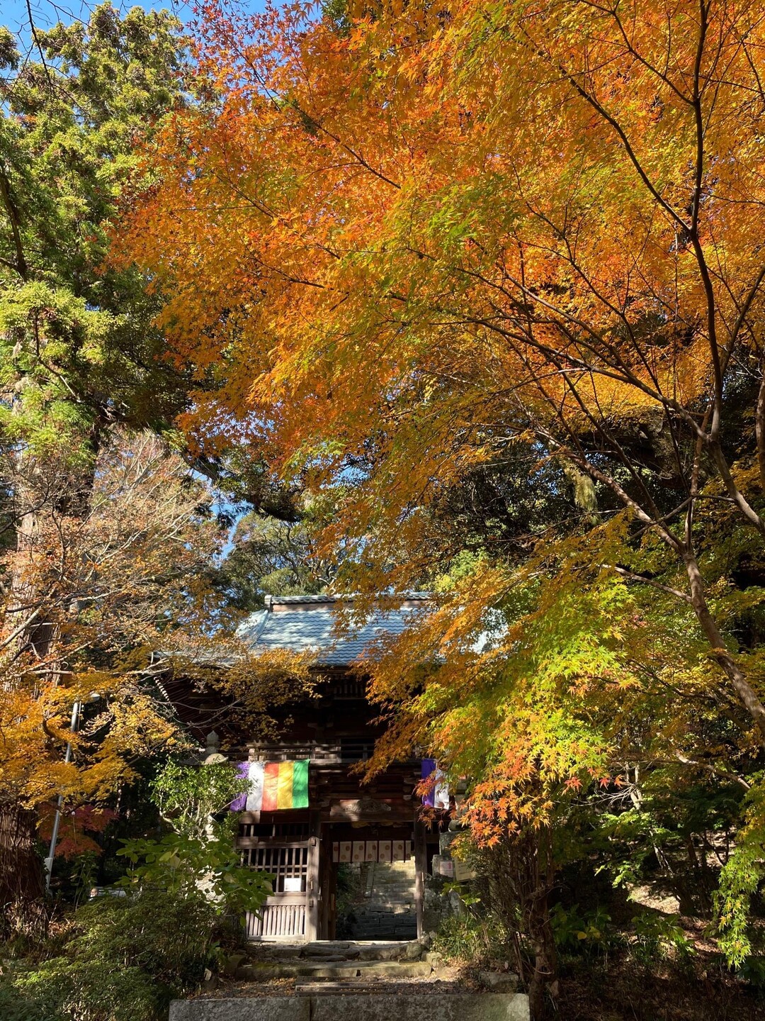 筑波山 ↑薬王院コース ↓御幸ヶ原コース ↑白雲橋コース ↓薬王院コース / さとしさんの筑波山の活動データ | YAMAP / ヤマップ