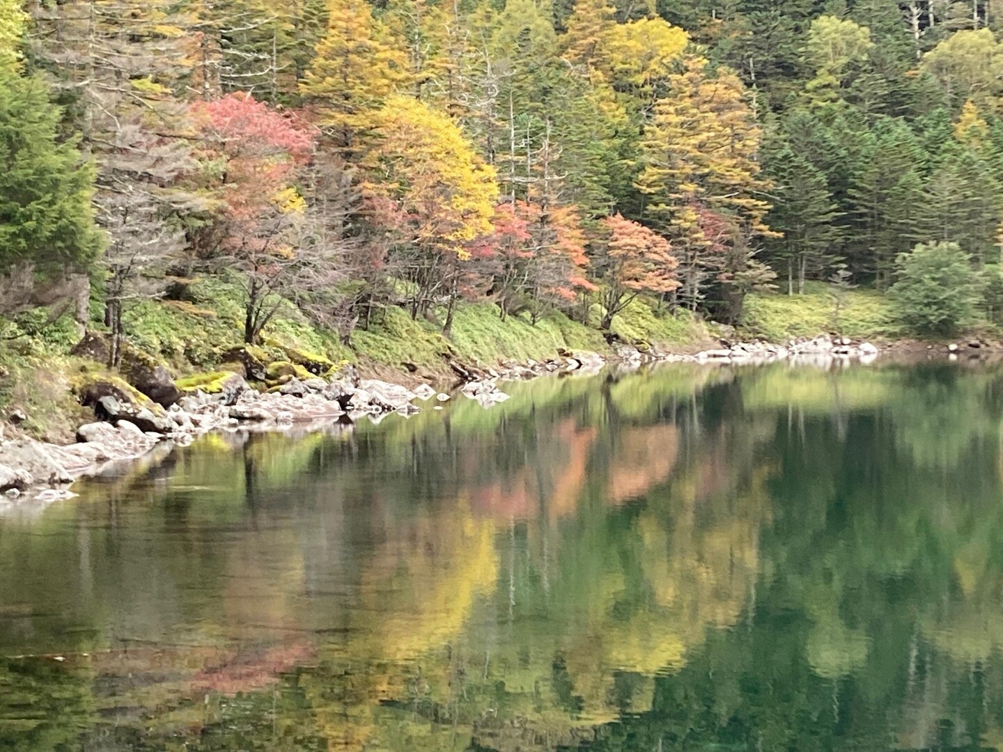 北横岳（南峰）・北横岳（北峰） / Taka-Kamさんの蓼科山・横岳・縞枯山の活動データ | YAMAP / ヤマップ