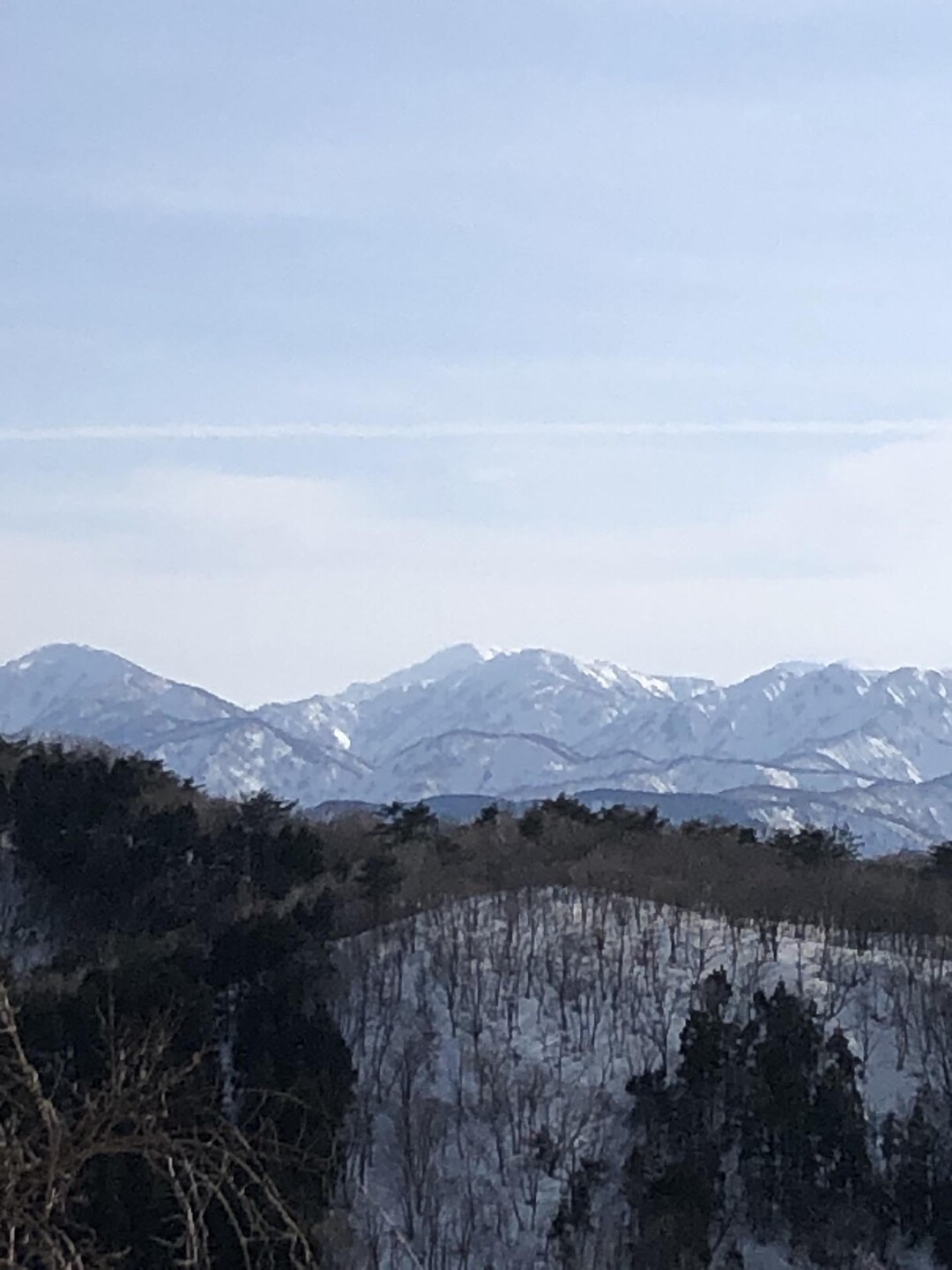 医王山-2023-02-11 / mag.hさんの医王山・白兀山・箱屋谷山の活動データ | YAMAP / ヤマップ