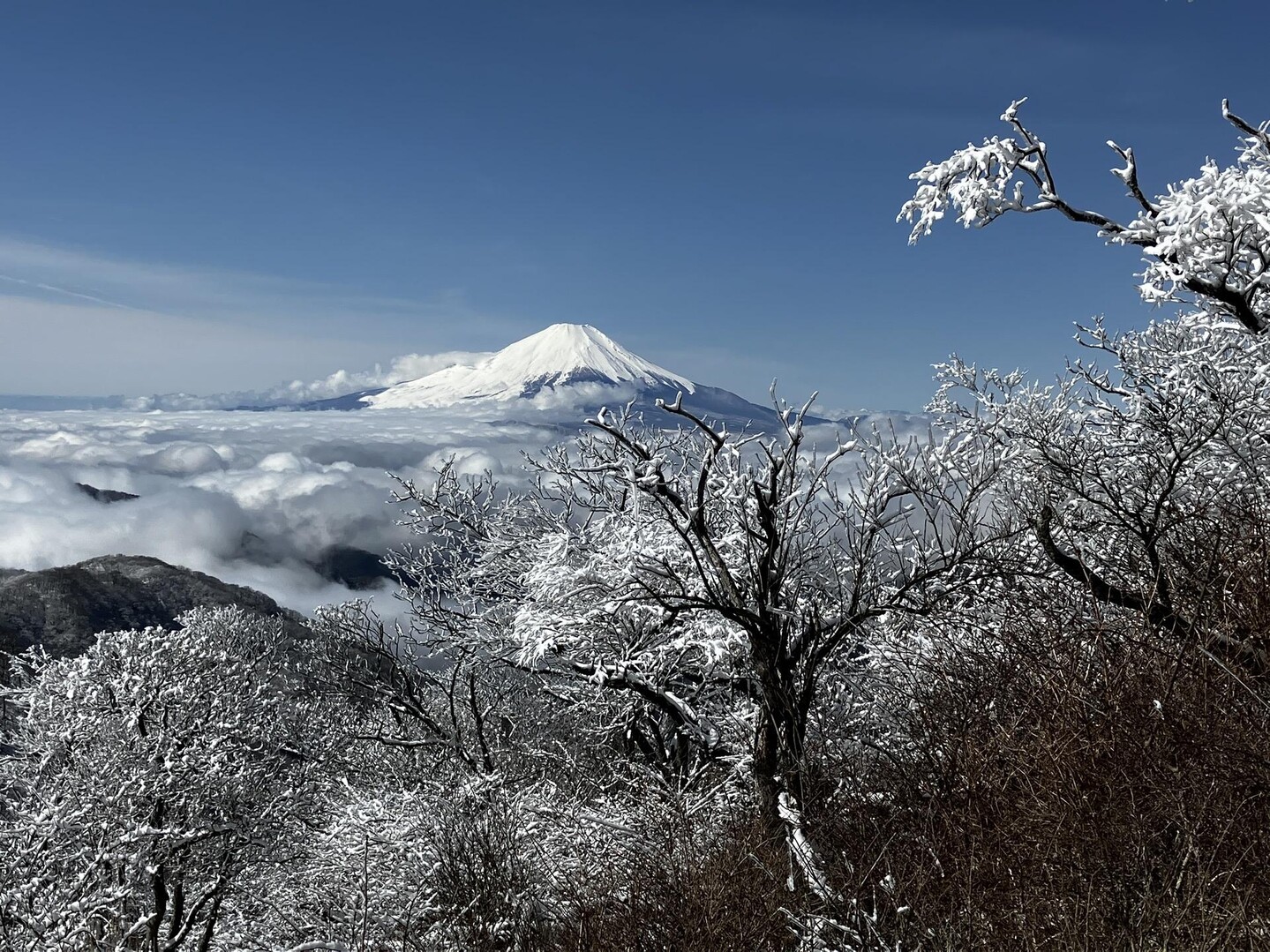 霧氷と雲海は青空が似合います ️ 富士... / Ken miuさんのモーメント | YAMAP / ヤマップ