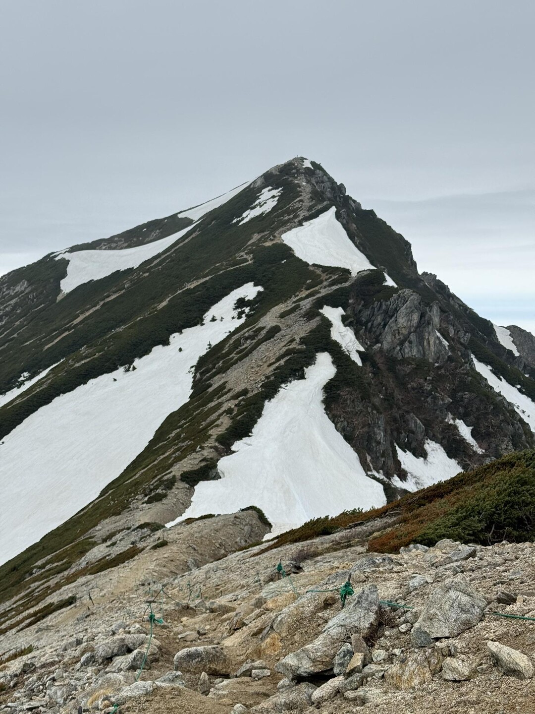 唐松岳 / saoさんの鹿島槍ヶ岳・五竜岳（五龍岳）・唐松岳の活動データ | YAMAP / ヤマップ