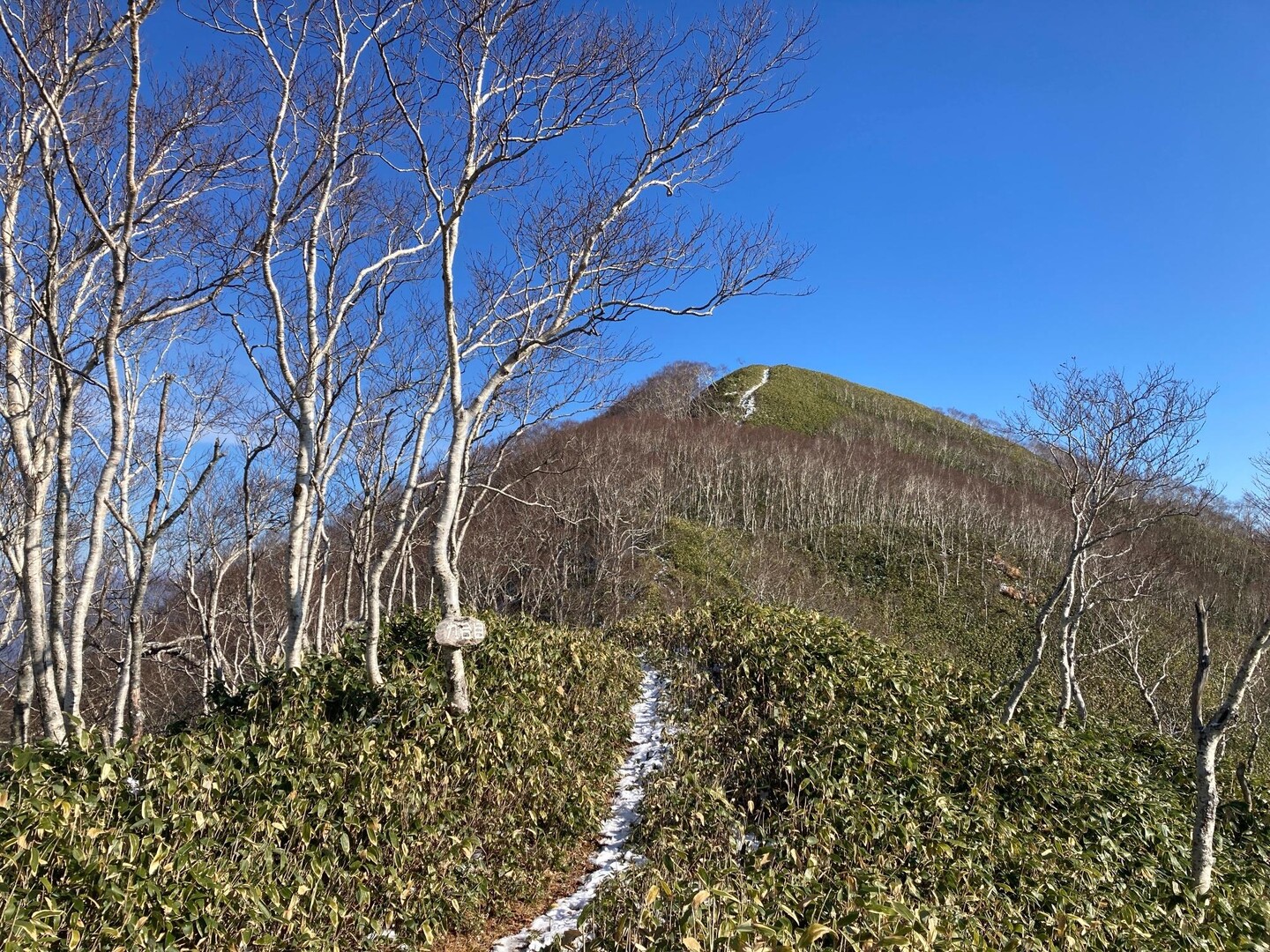 前ピセナイ山・ピセナイ山 / 2525さんのピセナイ山の活動データ | YAMAP / ヤマップ