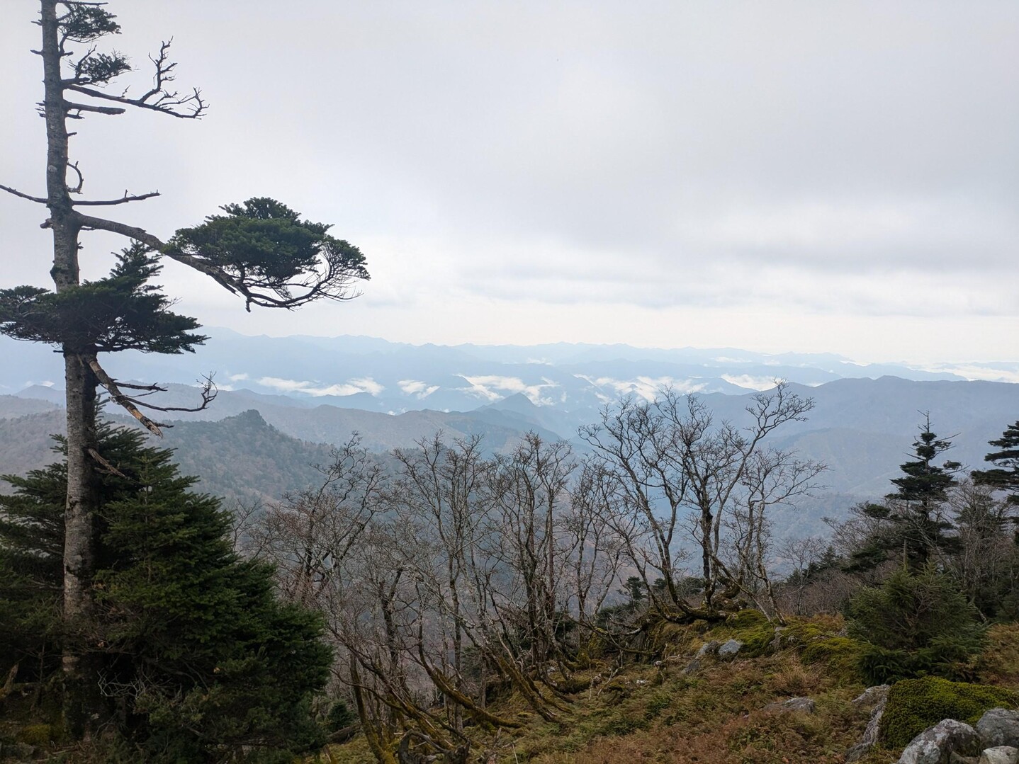 八経ヶ岳 / Muさんの八経ヶ岳の活動データ | YAMAP / ヤマップ