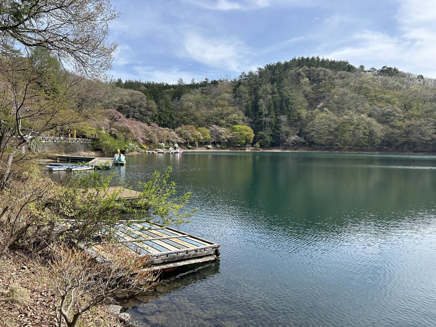 四尾連湖〜蛾ヶ岳・釈迦ヶ岳・三方分山縦走 / Pelliotさんの蛾ヶ岳・大平山・釈迦ヶ岳の活動データ | YAMAP / ヤマップ