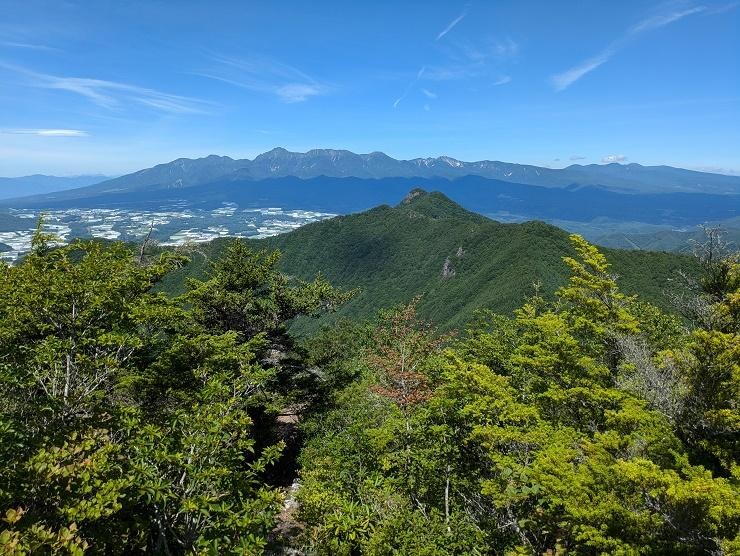 馬越峠〜天狗山 / we_ma2さんの男山・天狗山の活動データ | YAMAP / ヤマップ