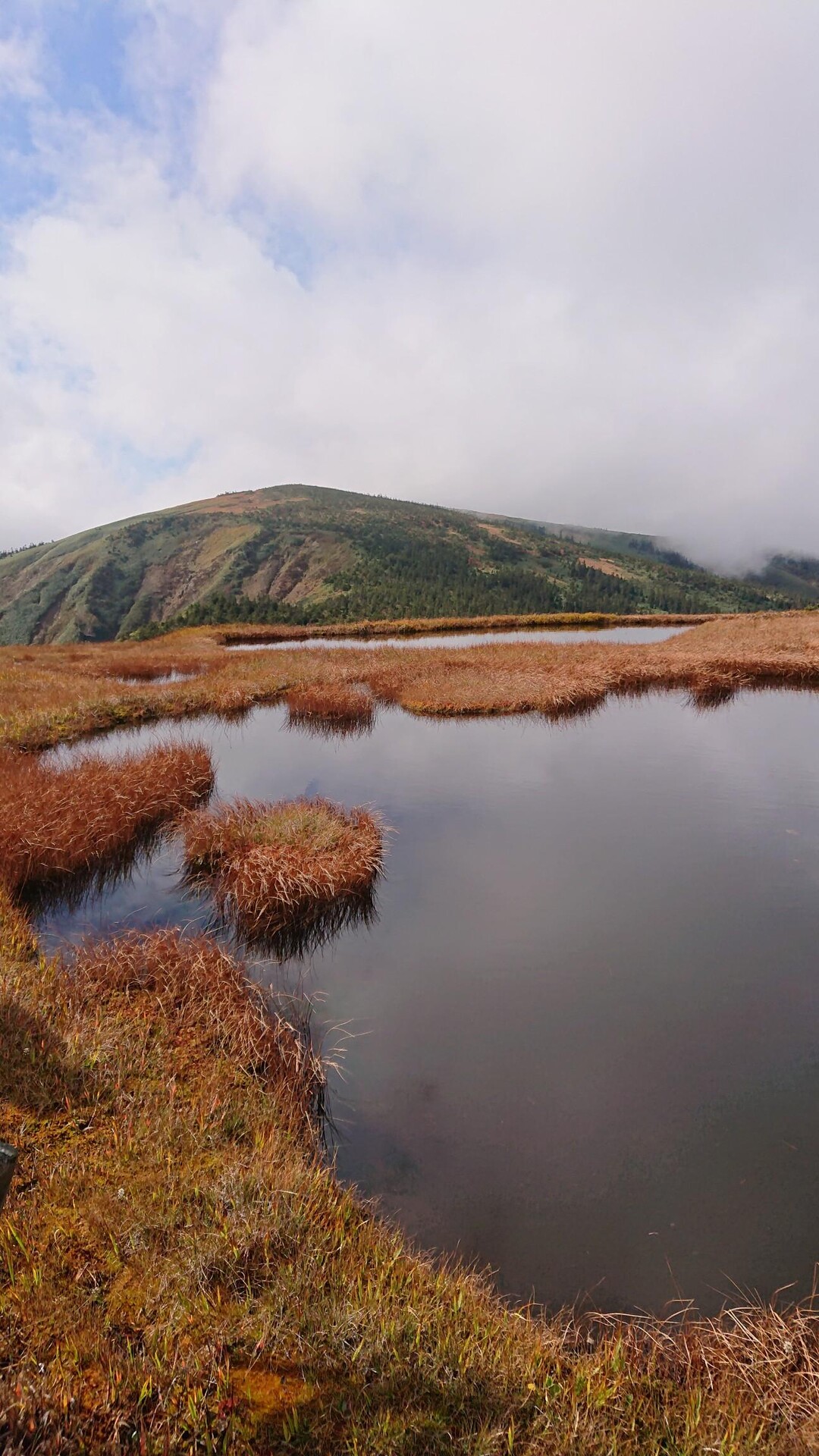 平ヶ岳 / フラリさんの平ヶ岳・台倉山・池ノ岳の活動データ | YAMAP / ヤマップ
