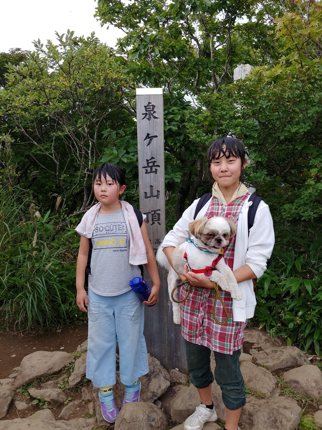 泉ケ岳周回-2019-09-15 / たかかさんの船形山（御所山）・泉ヶ岳・蛇ヶ岳の活動データ | YAMAP / ヤマップ