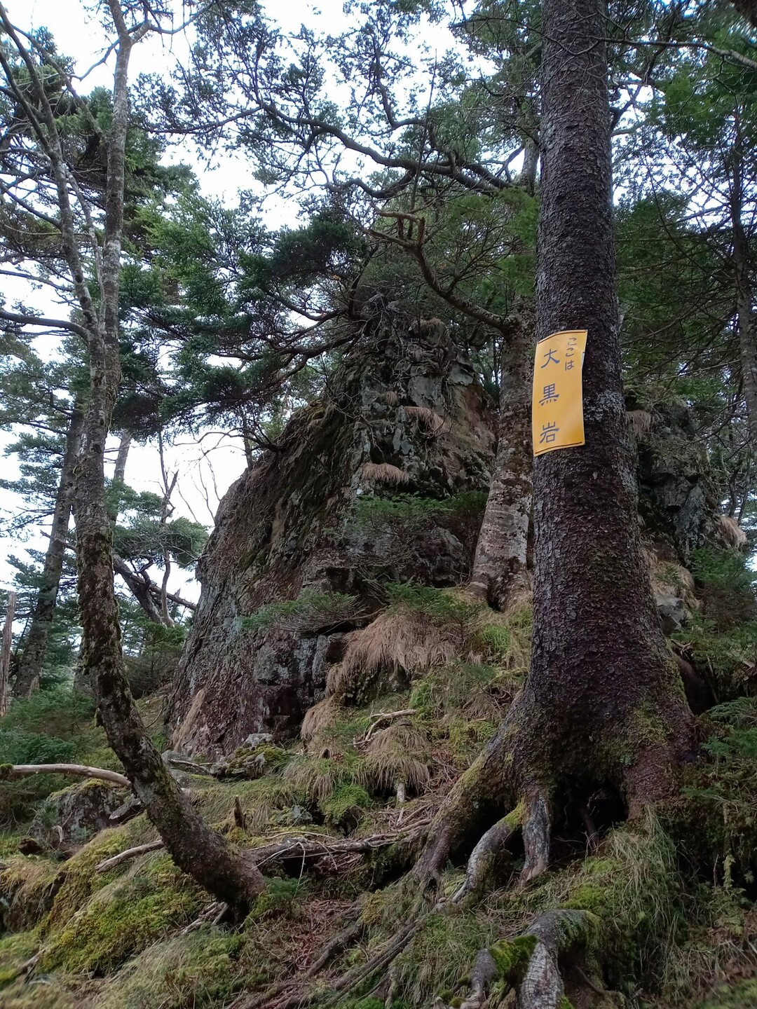 bambooさんの投稿したフィールドメモ | YAMAP / ヤマップ