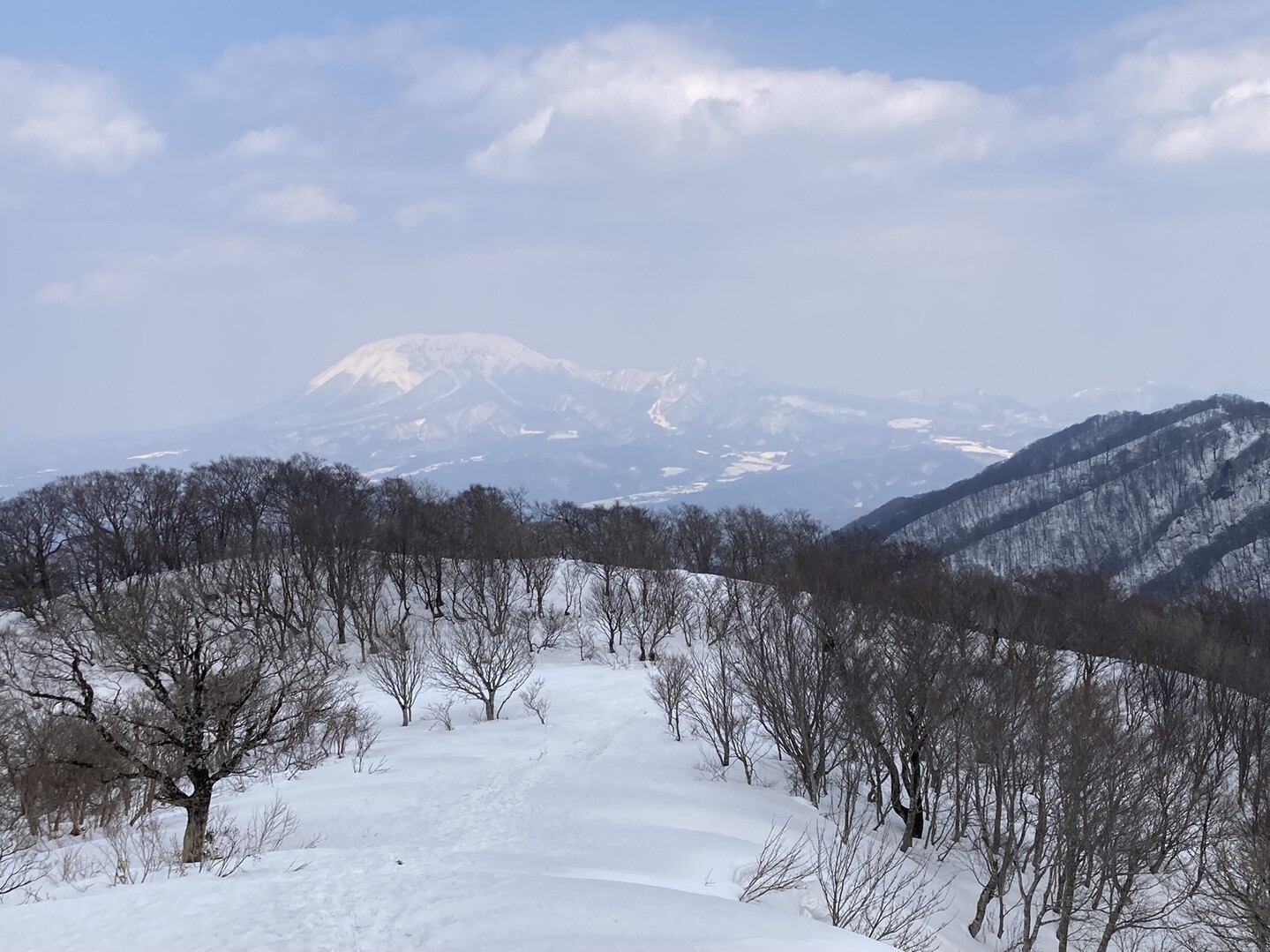 西毛無山・毛無山・白馬山 / masa599さんの毛無山の活動データ | YAMAP / ヤマップ