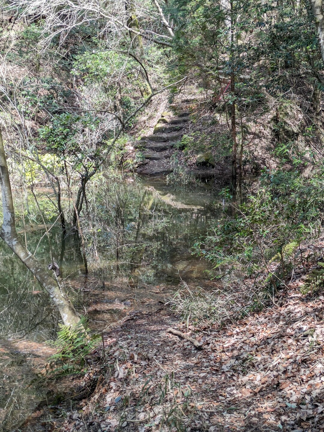 masashi_mhさんの投稿したフィールドメモ | YAMAP / ヤマップ