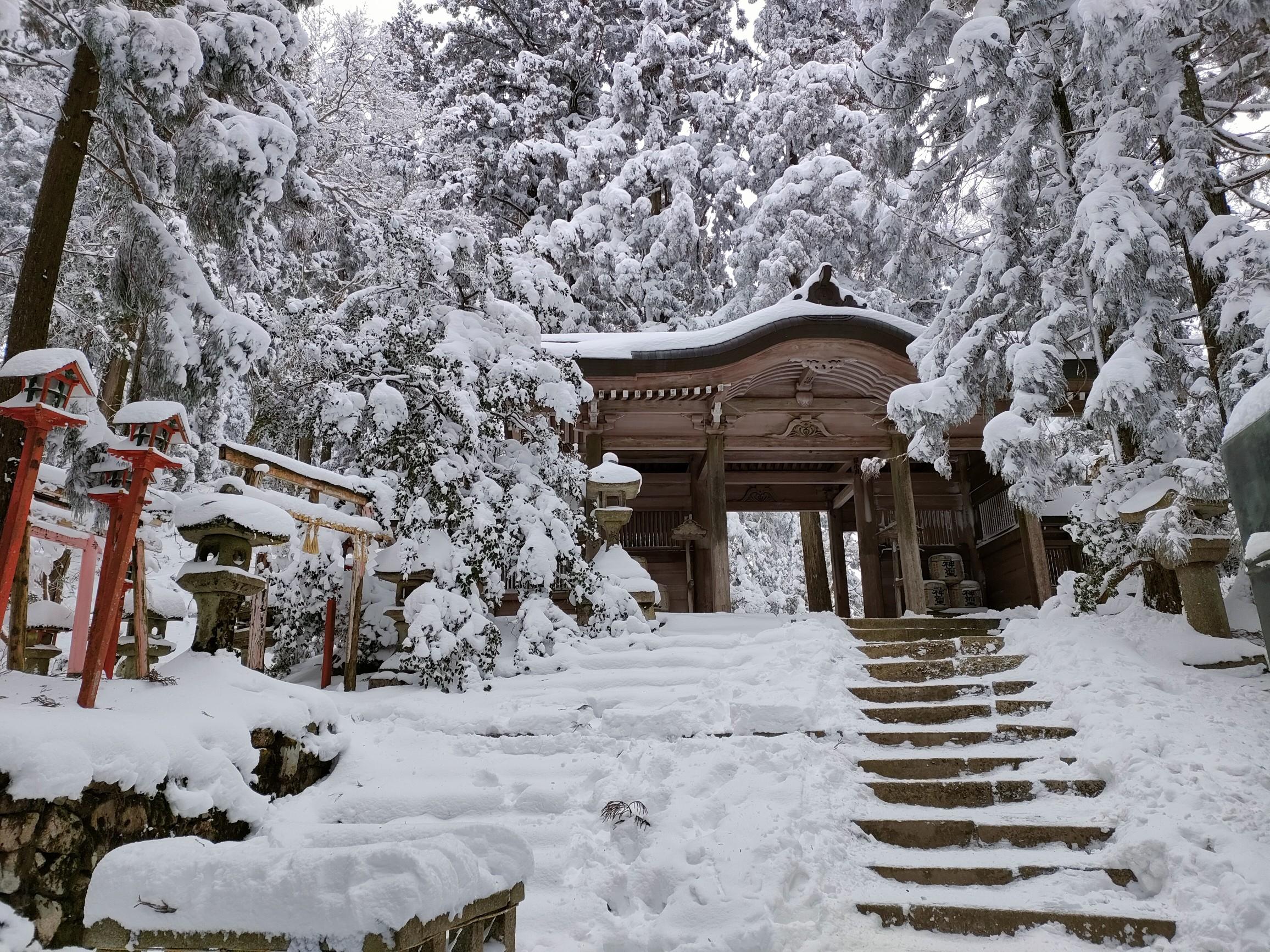 愛宕山 / asyuraさんの愛宕山・三頭山・朝日峯の活動データ | YAMAP / ヤマップ