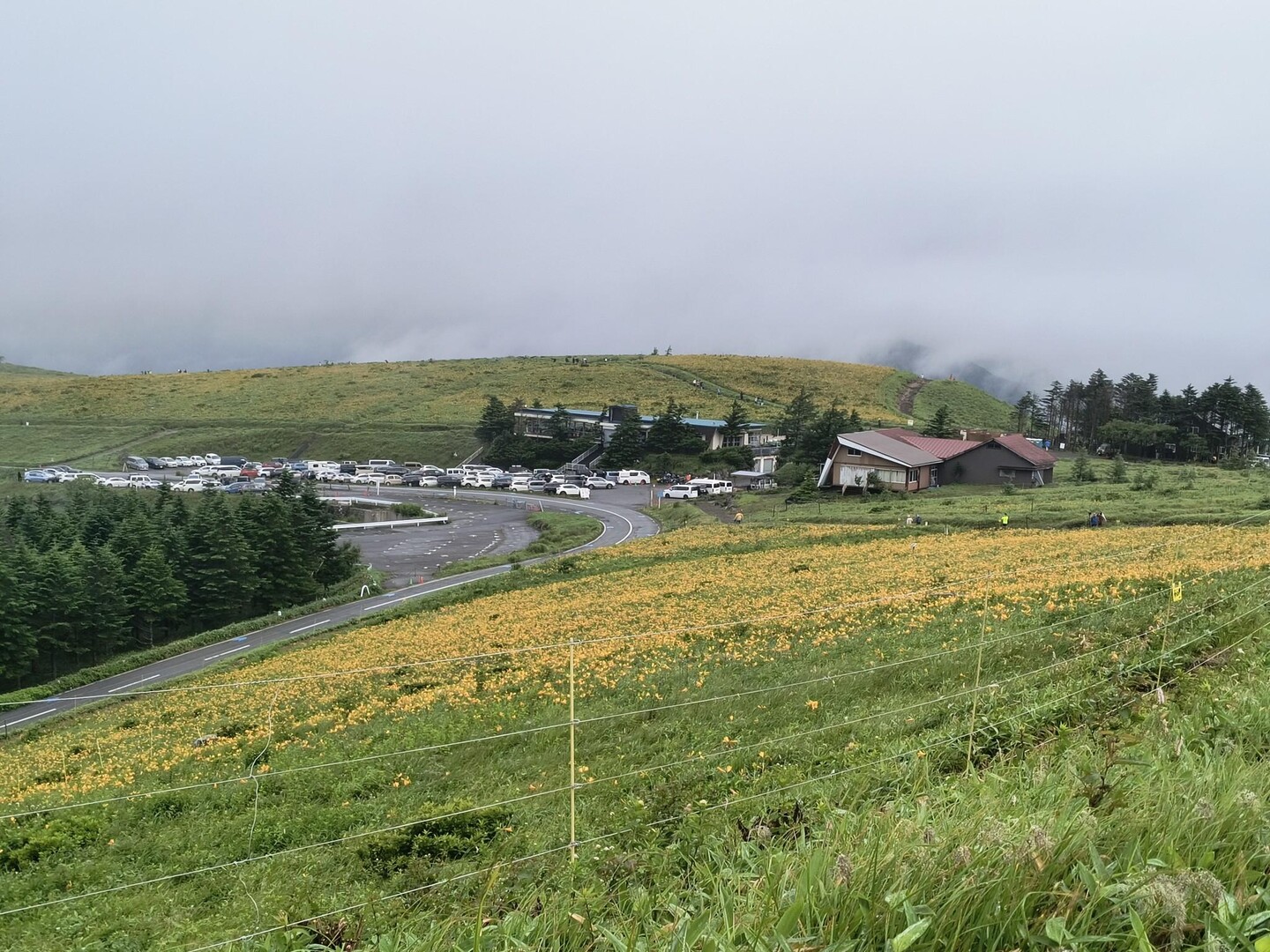 霧ヶ峰（車山） / picatyuさんの霧ヶ峰・車山・大笹峰の活動データ | YAMAP / ヤマップ
