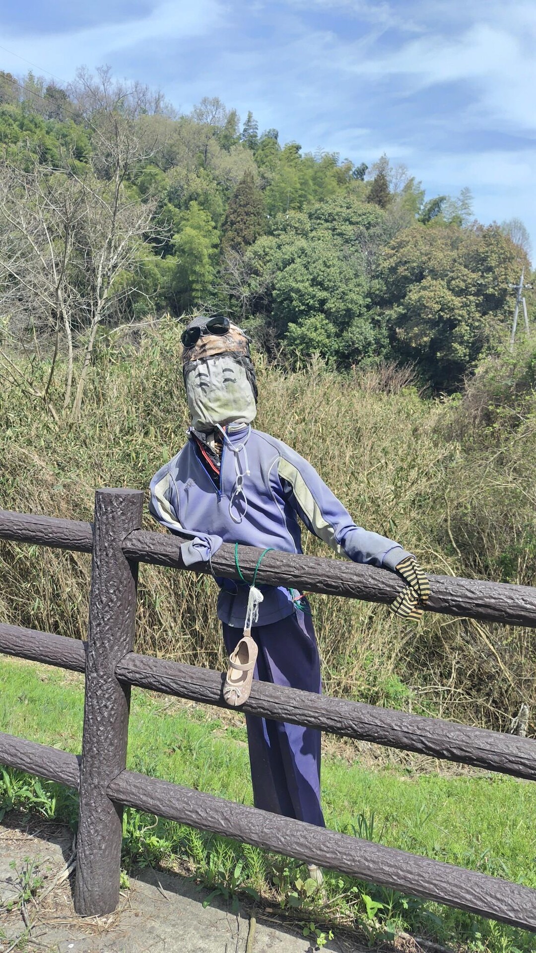 甘南備山・アンテナ山・新サンドイッチ山・国見山・交野山・サンドイッチ山 / satohさんの交野山・国見山の活動データ | YAMAP / ヤマップ