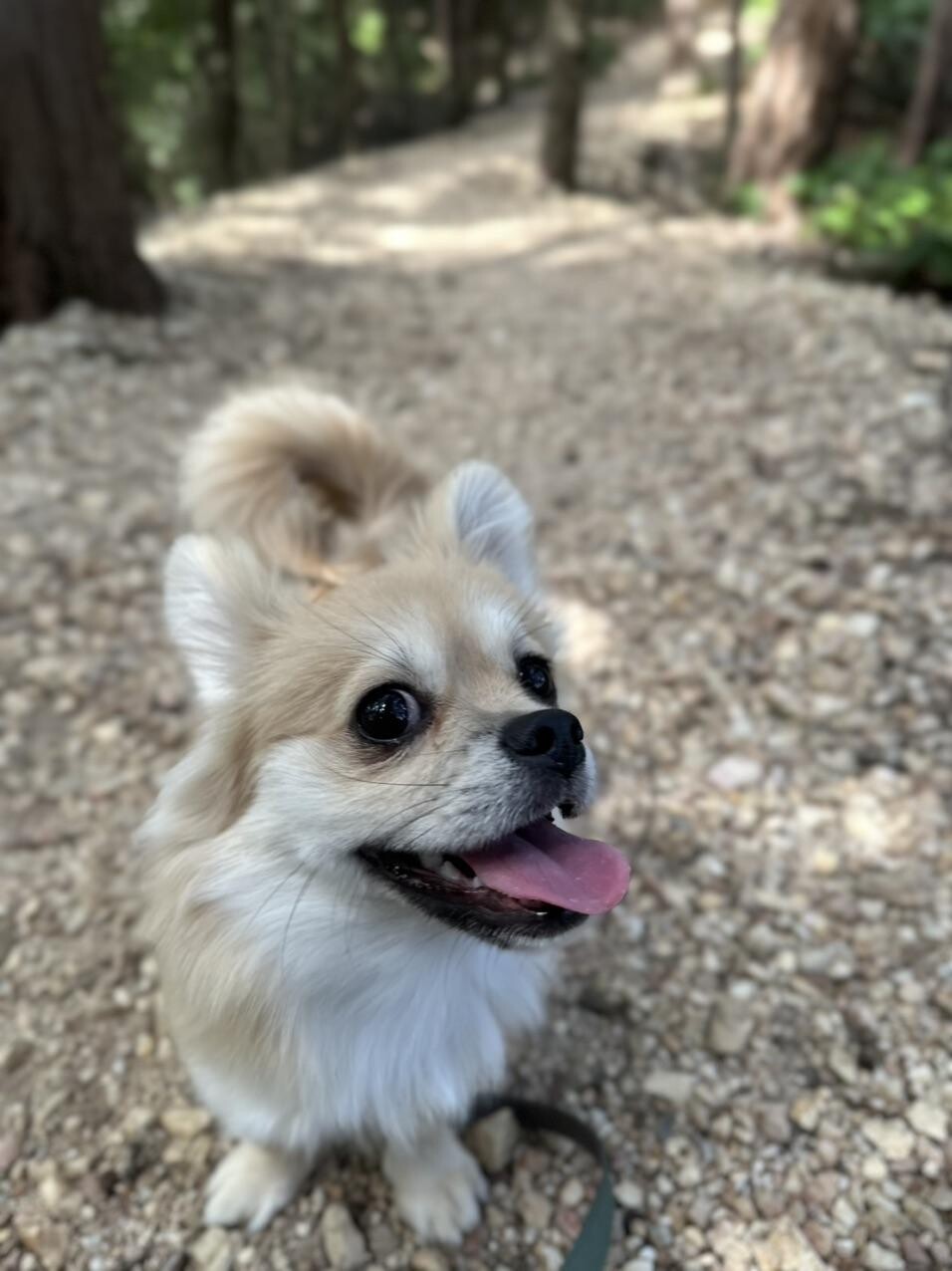 Yu-kenのページ | YAMAP / ヤマップ