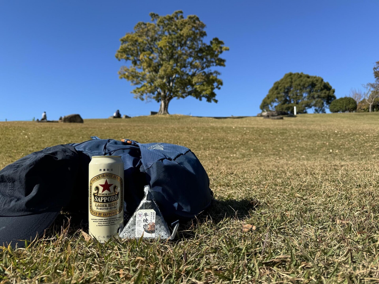 吾妻山 / ms1967さんの高麗山・湘南平・鷹取山の活動データ | YAMAP / ヤマップ