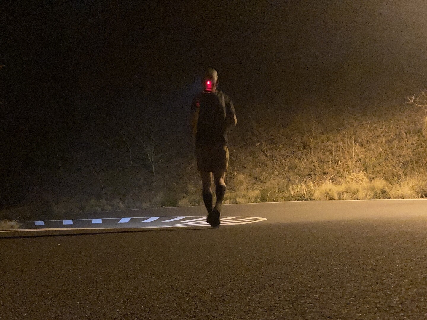 直島(85.21km D+1290m) / からくりさんのランニングの活動データ | YAMAP / ヤマップ