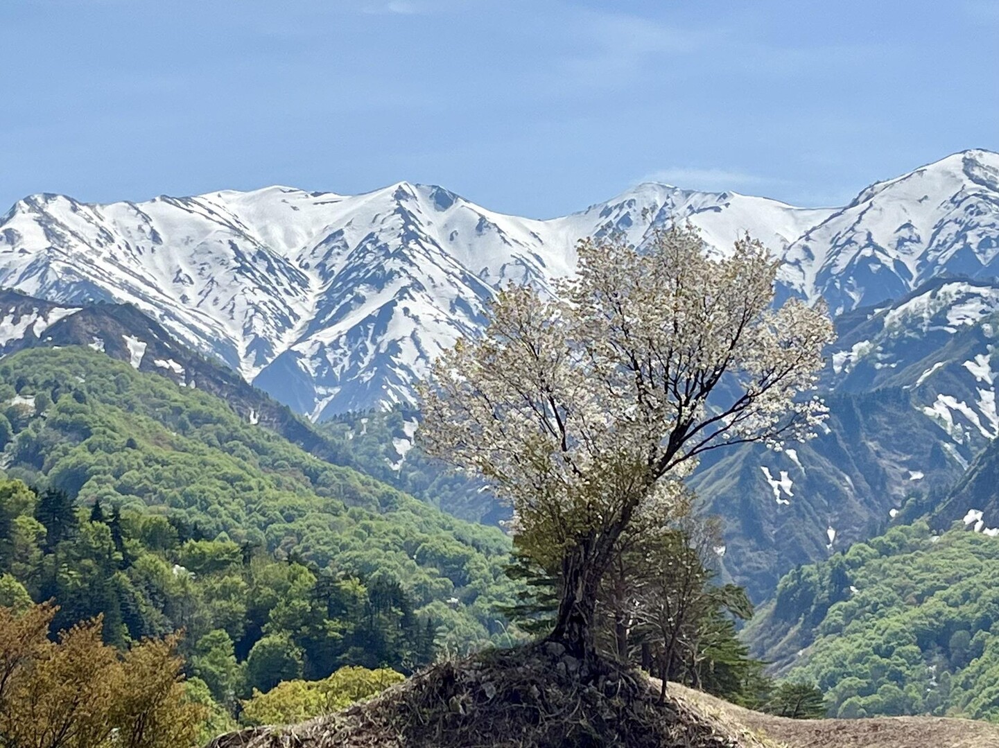 今日は天気良いけど山歩きはお休み😌 小... / w823hさんのモーメント | YAMAP / ヤマップ