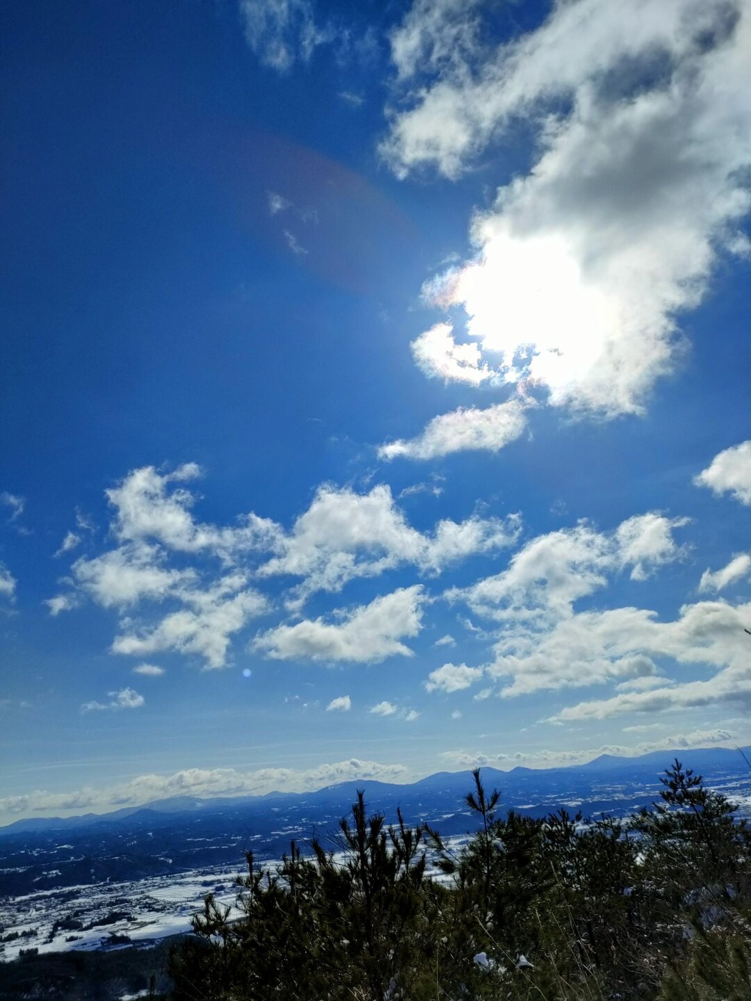 蛇の鼻遊楽園から大名倉山 / ukeyさんの大名倉山の活動データ | YAMAP / ヤマップ
