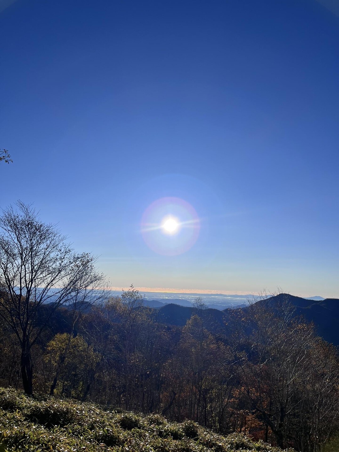 shin_0912♪さんの投稿したフィールドメモ | YAMAP / ヤマップ