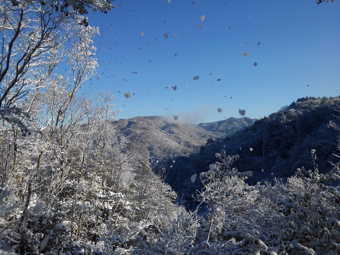 R6-1 猿投山 / nob3さんの猿投山・物見山の活動データ | YAMAP / ヤマップ