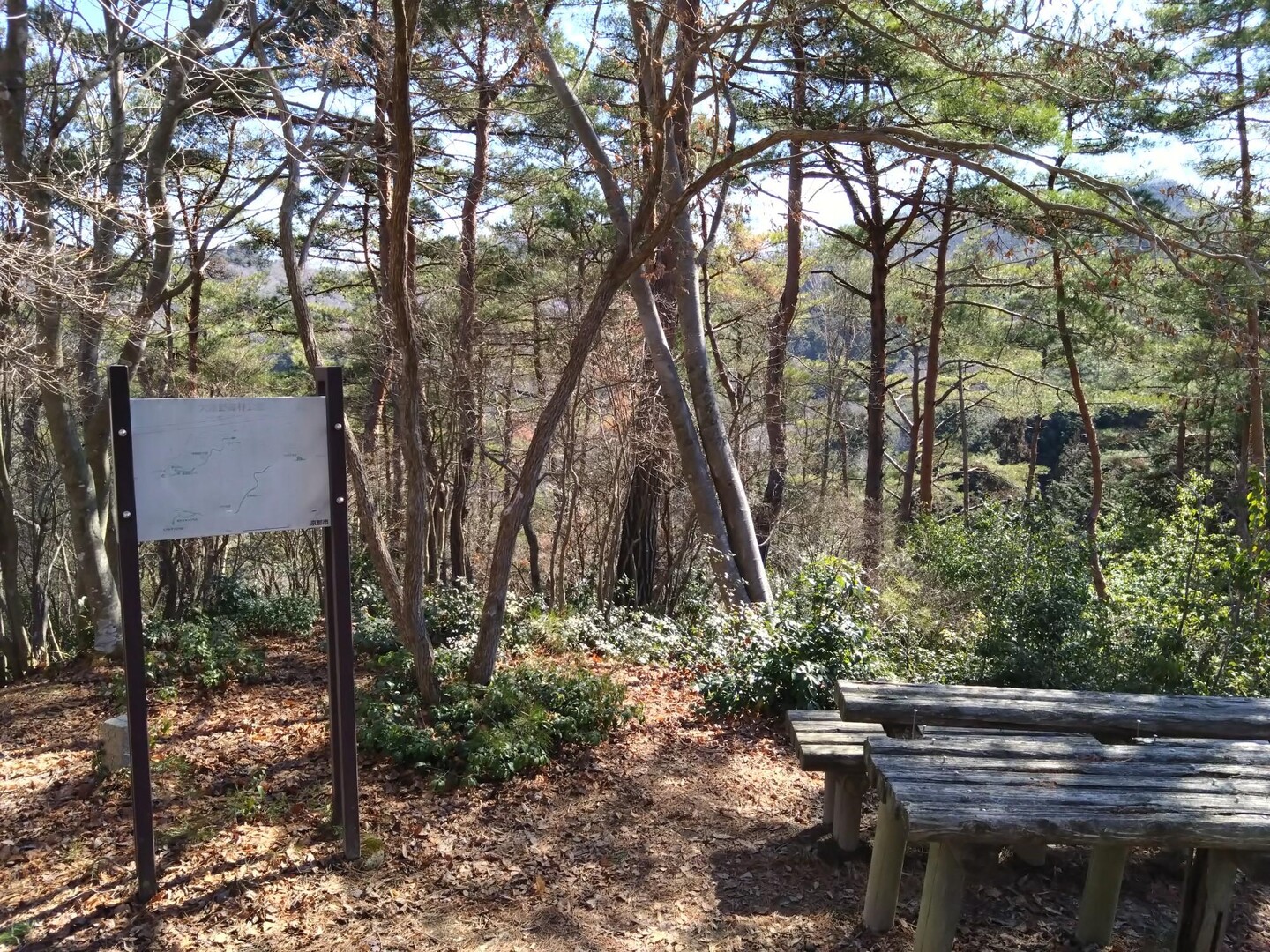 bambooさんの投稿したフィールドメモ | YAMAP / ヤマップ