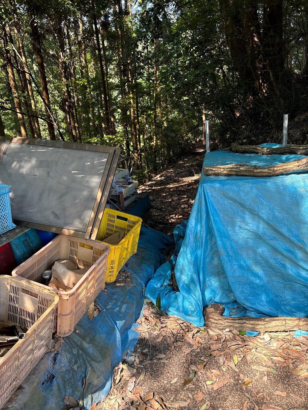 ttさんの投稿したフィールドメモ | YAMAP / ヤマップ