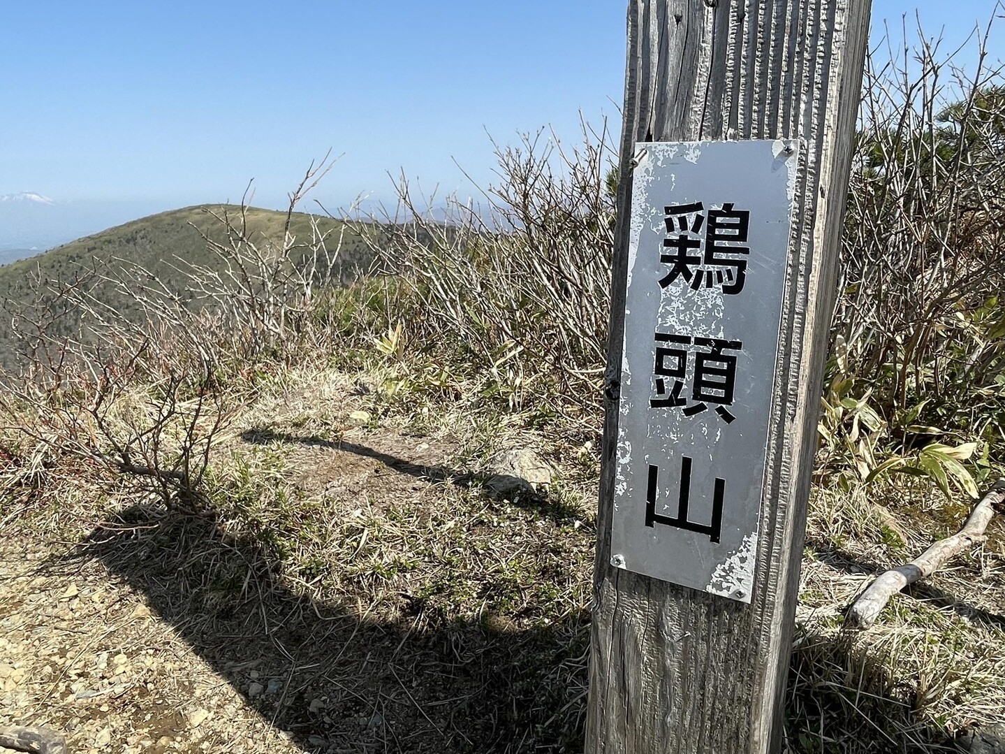 R6.5.4鶏頭山 / ハルキさんの早池峰山・薬師岳・鶏頭山の活動データ | YAMAP / ヤマップ
