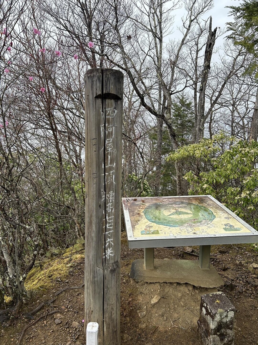 四阿屋山(つつじ新道)20240403 / ANEさんの両神山・諏訪山・二子山の活動データ | YAMAP / ヤマップ