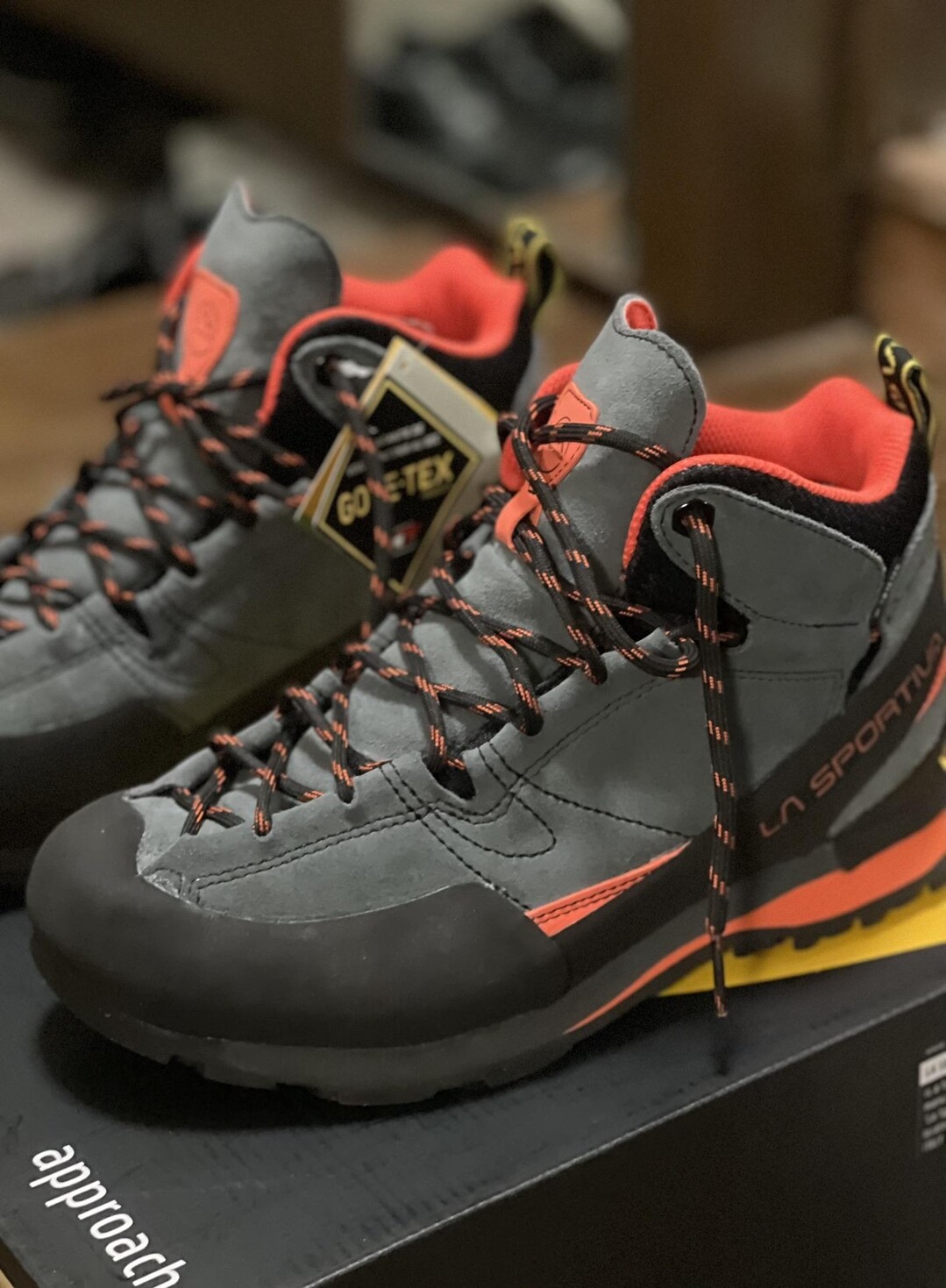 死んだじぃちゃんが、くじゅう行く時はオシ... / Kossyさんのモーメント | YAMAP / ヤマップ