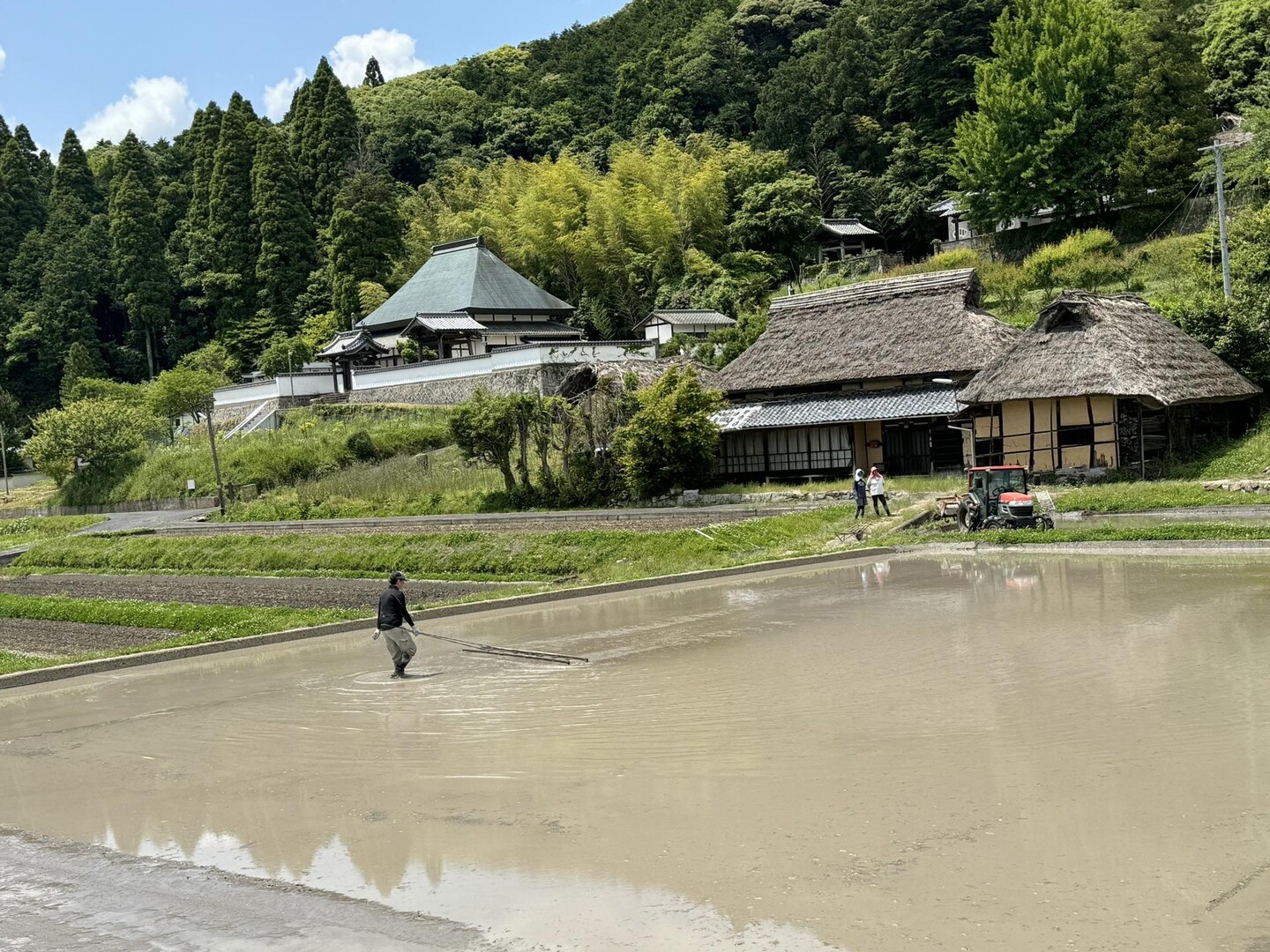 八塔寺山・飯盛山 / moanaさんの八塔寺山の活動データ | YAMAP / ヤマップ