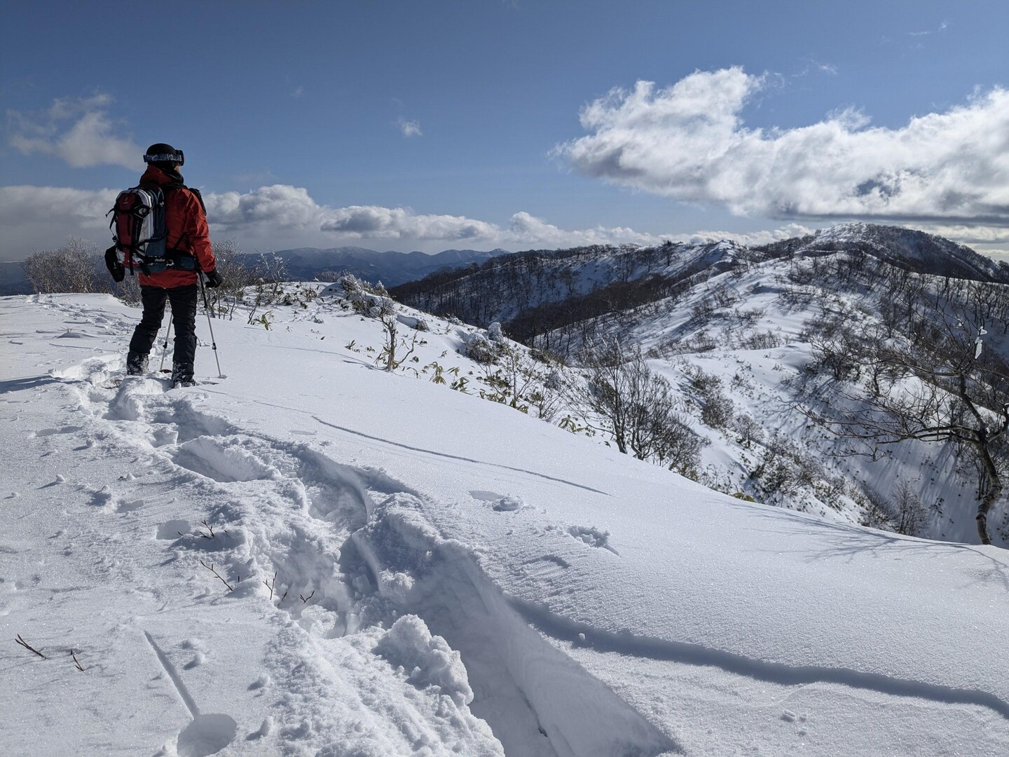 大日ヶ岳〜天狗の鼻 / gifu.redさんの大日ヶ岳・毘沙門岳の活動データ | YAMAP / ヤマップ