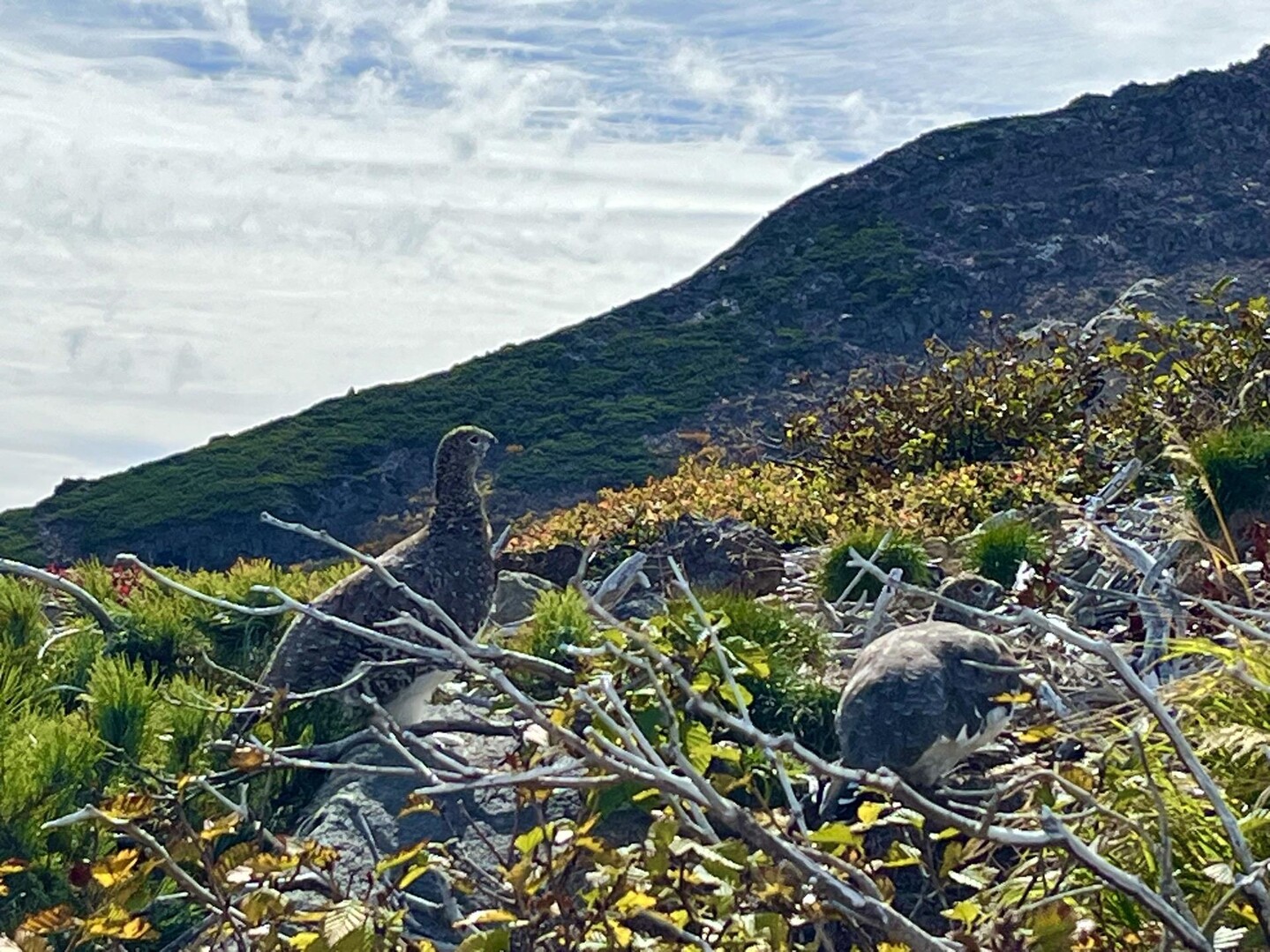 御嶽山（剣ヶ峰） / kazu51さんの御嶽山・継子岳・摩利支天山の活動データ | YAMAP / ヤマップ