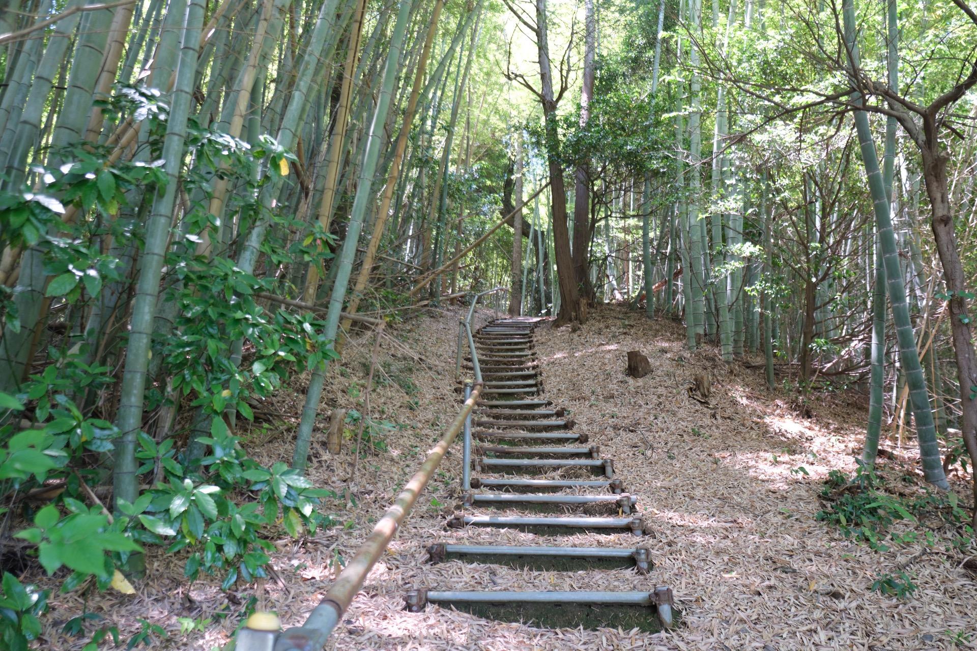 平岡浅間山・小林浅間山・彦地山 / ACO3年5組さんの印西市の活動データ | YAMAP / ヤマップ