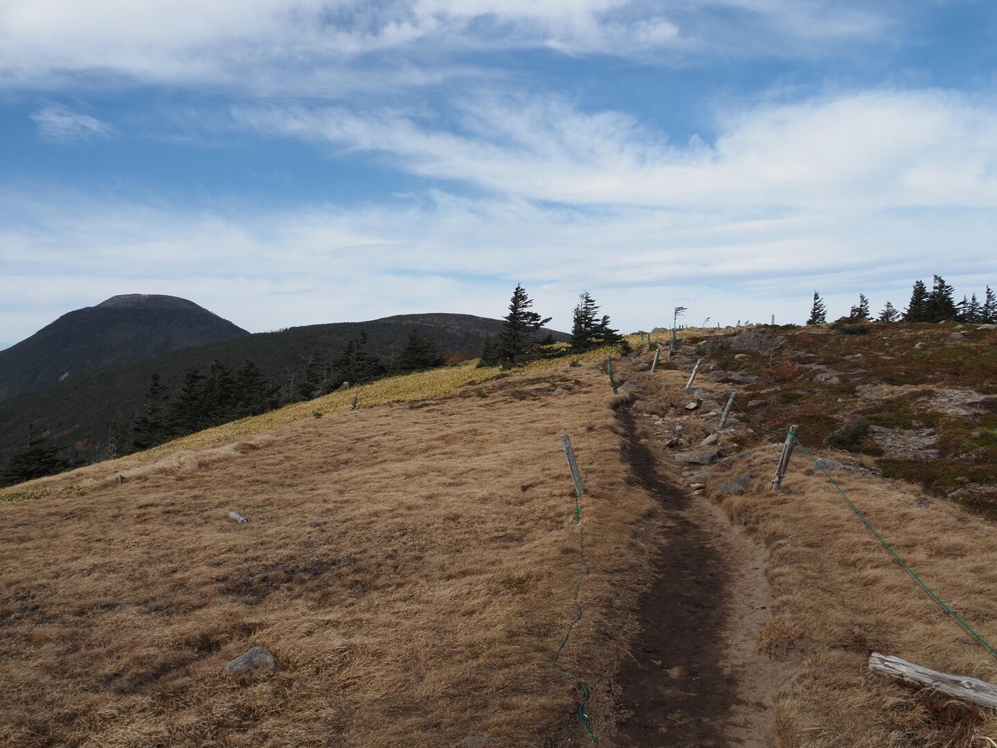 久々の八ヶ岳🗻北横岳 / aki_yamaさんの蓼科山・横岳・縞枯山の活動データ | YAMAP / ヤマップ