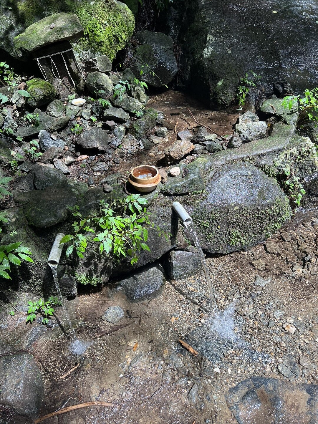 筑波山-2023-09-11 / n@tsuさんの筑波山の活動データ | YAMAP / ヤマップ