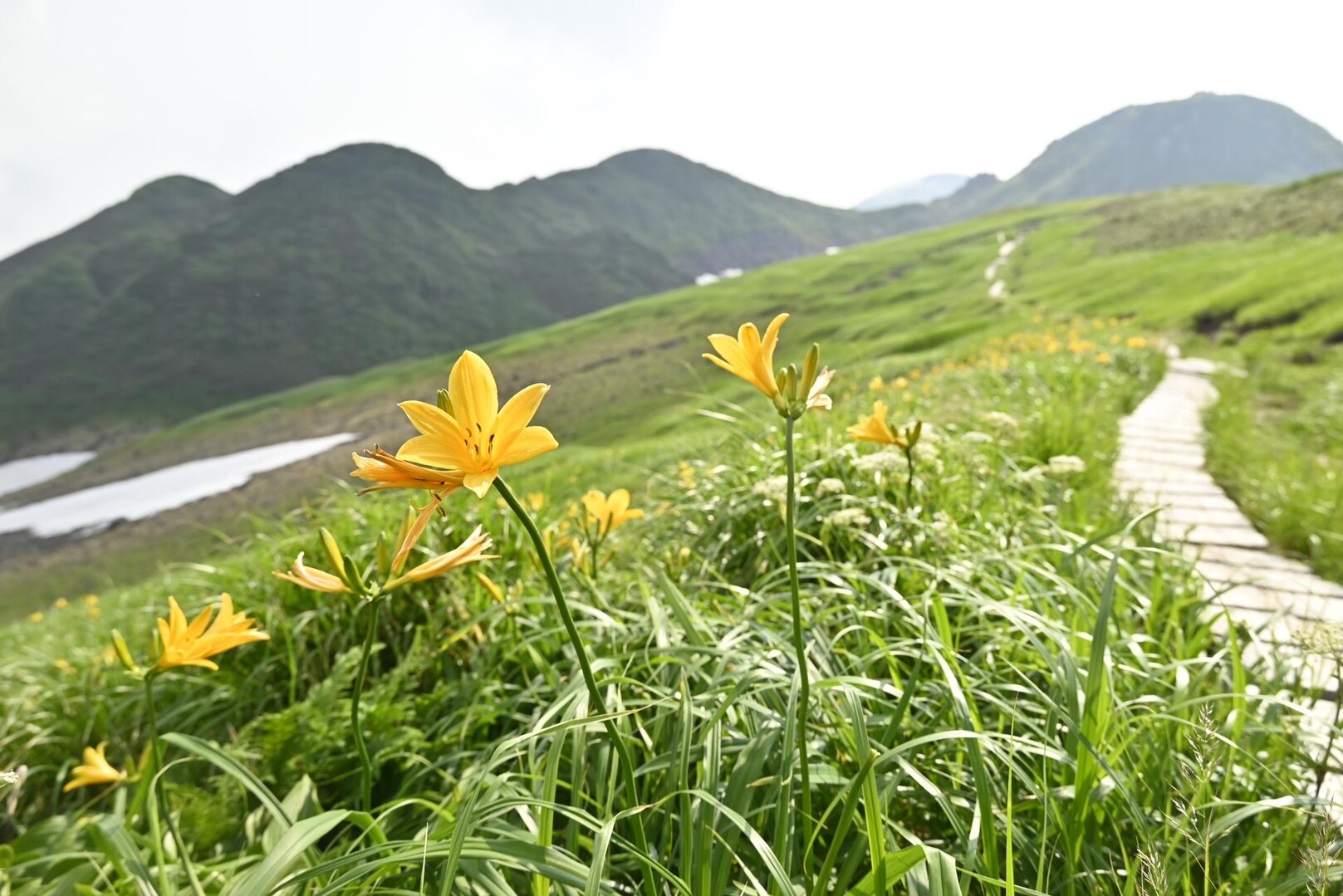 鳥海山 / wkさんの鳥海山・七高山・笙ヶ岳の活動データ | YAMAP / ヤマップ