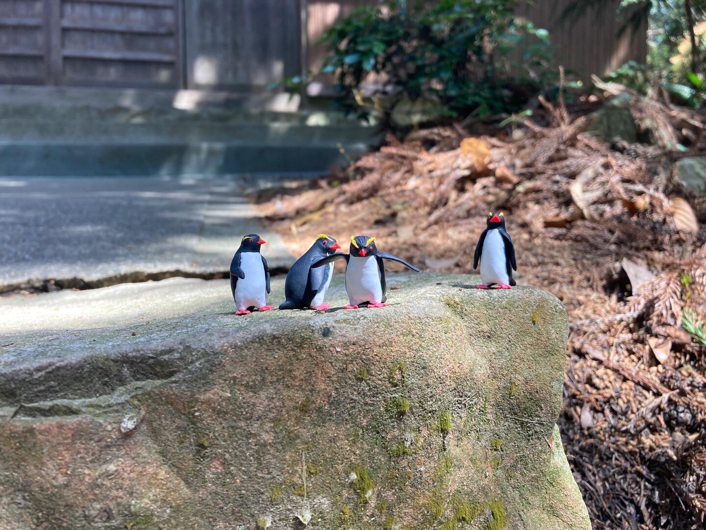 大麻山 / lazyさんの大麻山・天円山の活動データ | YAMAP / ヤマップ