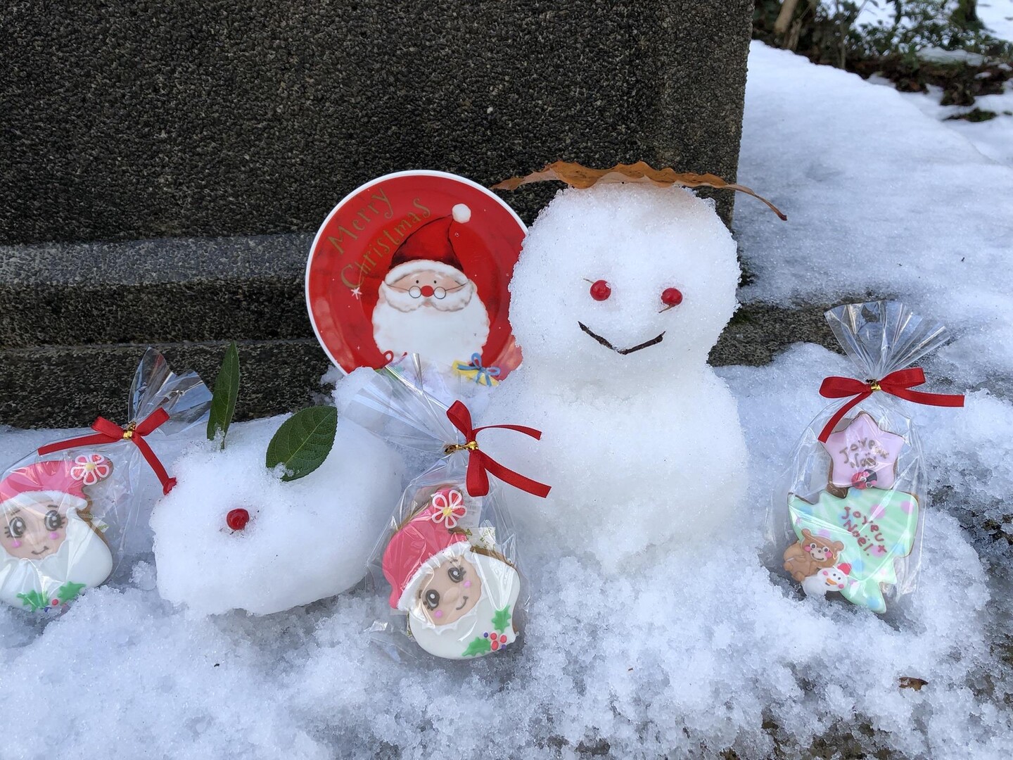 X’mas🎄ハイク🔔打吹山⛄️ / 💖🐰Roco🐰💖さんの打吹山の活動データ | YAMAP / ヤマップ