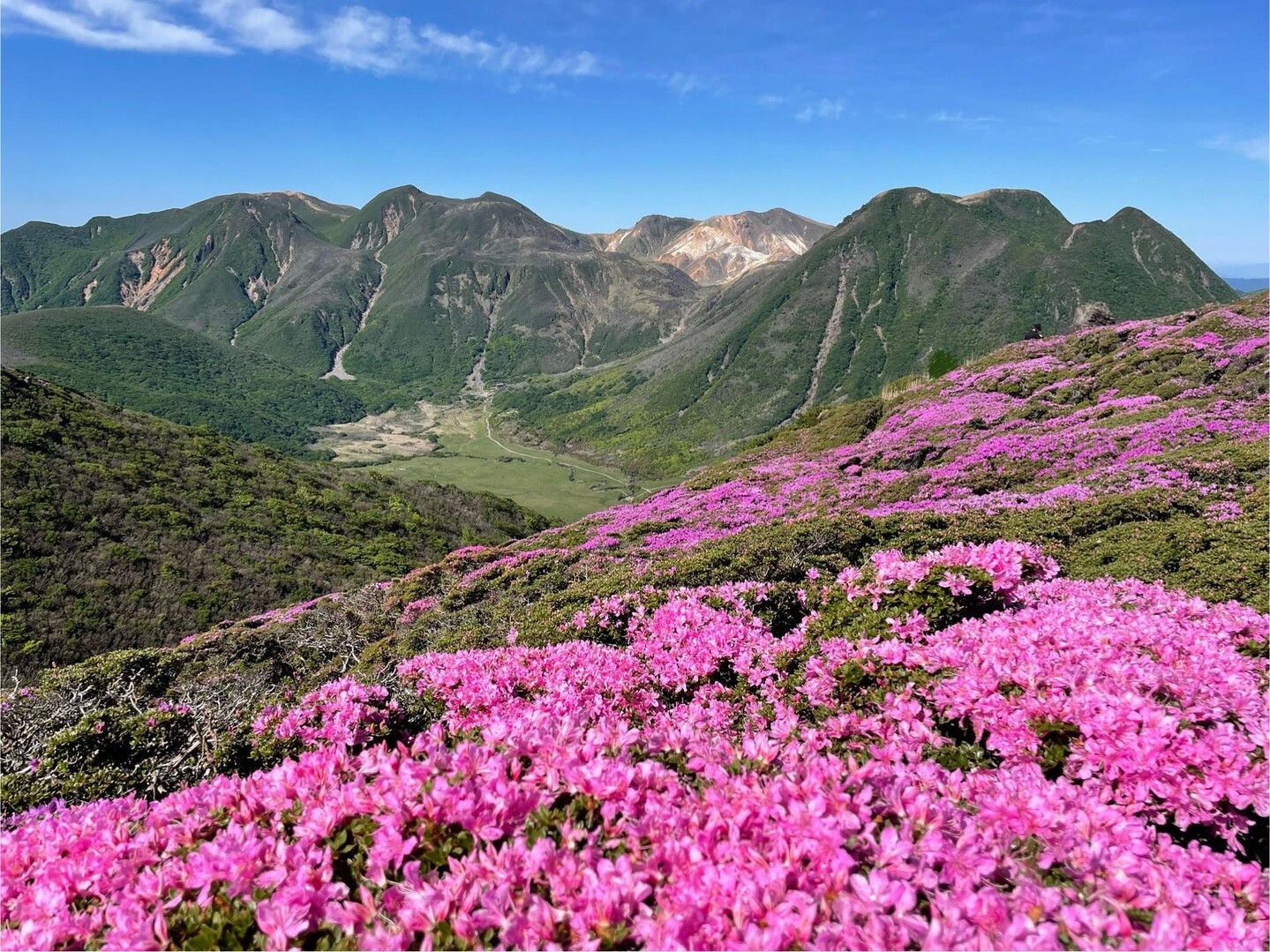 MK山歩🌸平治岳⛰️ / GGファルカンさんの九重山（久住山）・大船山・星生山の活動データ | YAMAP / ヤマップ