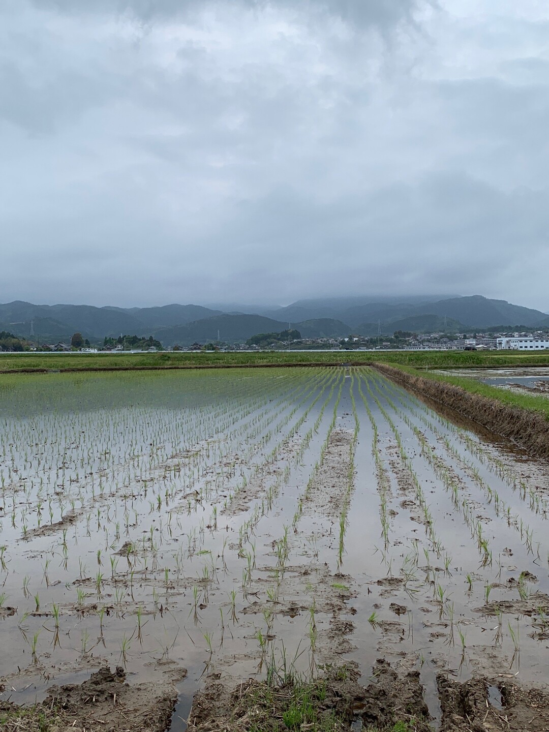 今日のランニング 山に雲がかかってる ... / じいじ2020さんのモーメント | YAMAP / ヤマップ